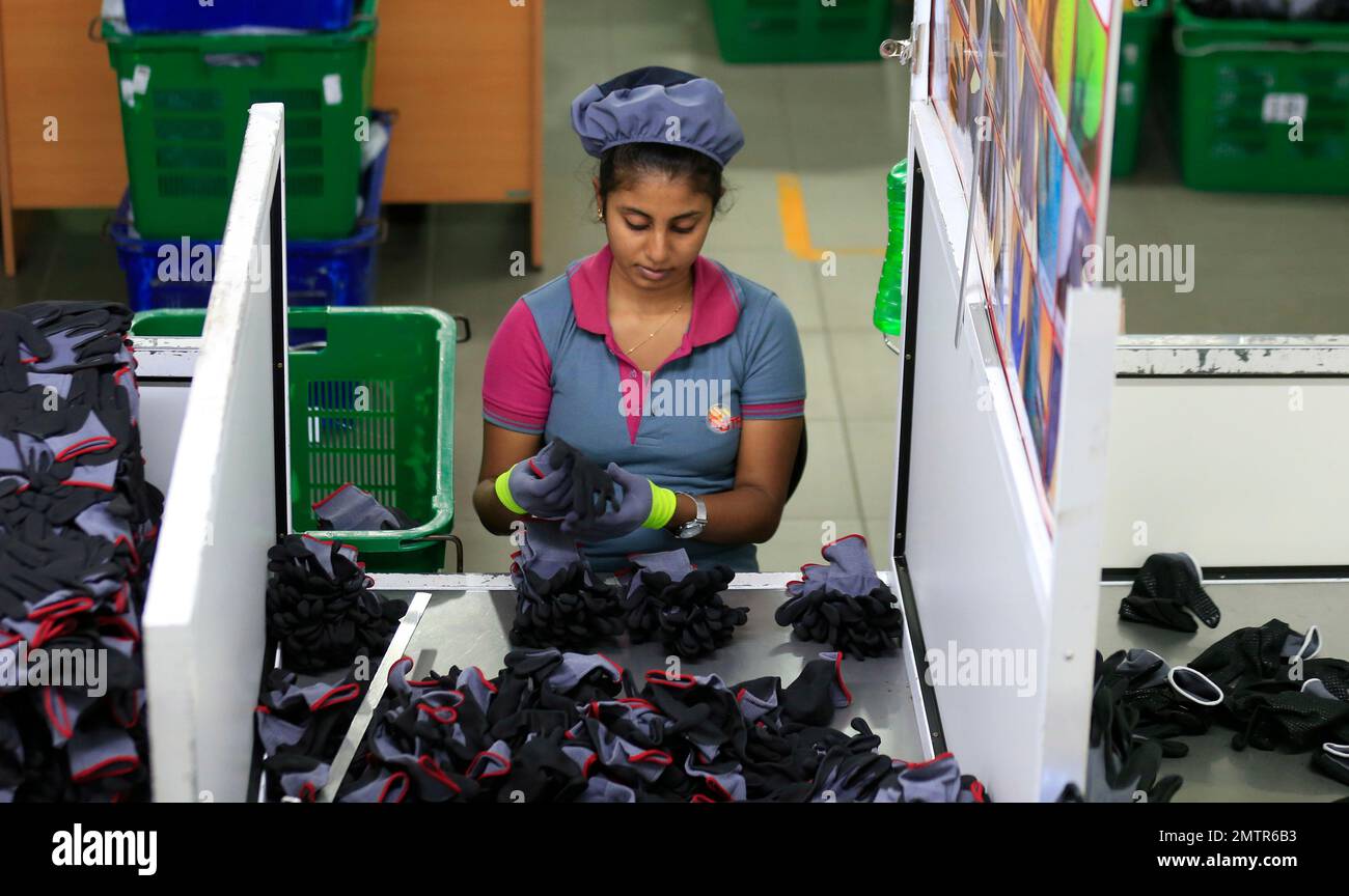 A Sri Lankan woman works at a glove making factory in country's largest ...