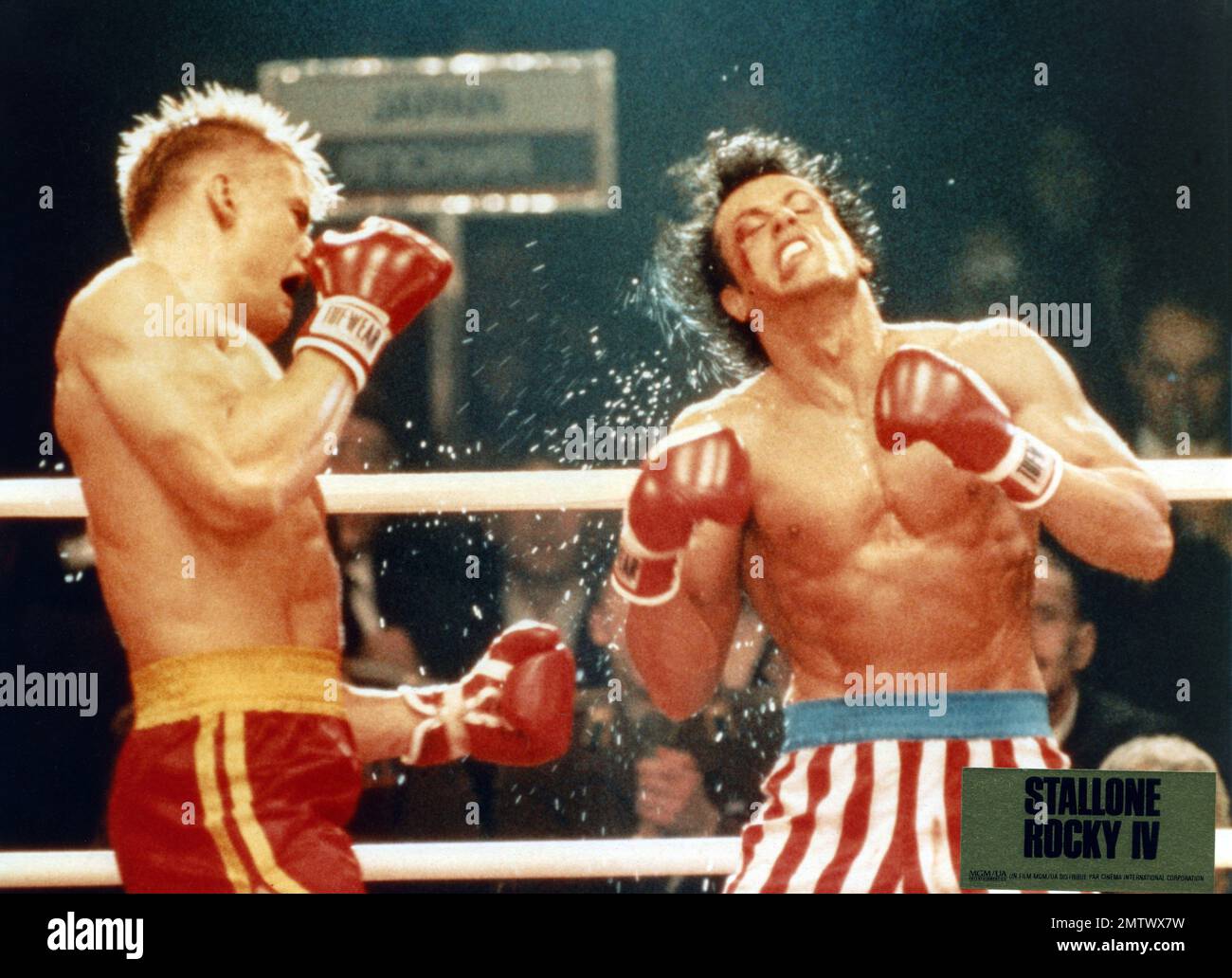 1985 usa regisseur sylvester stallone dolph lundgren -Fotos und ...