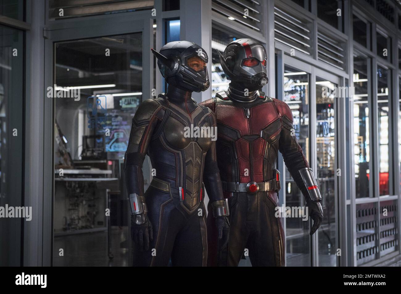 2018 usa regisseur peyton reed evangeline lilly paul rudd -Fotos und -Bildmaterial in hoher ...