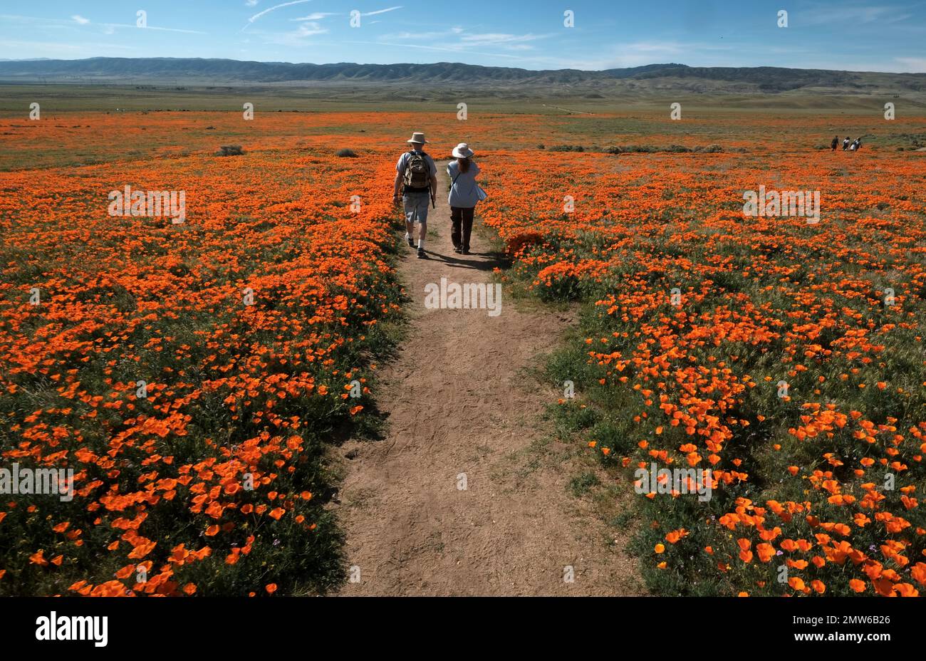 In this March 19, 2017, photo, visitors walk among the poppy bloom at ...