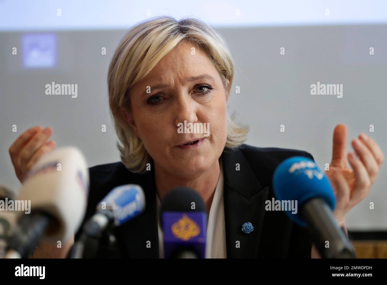 French far-right presidential candidate Marine Le Pen speaks during a ...