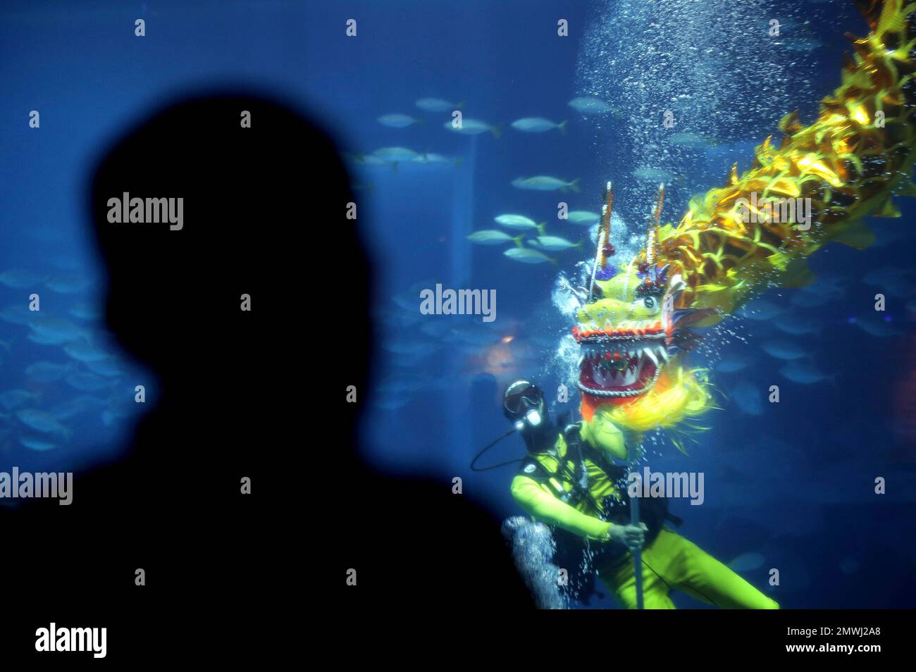 A diver performs a dragon dance underwater at the South East Asia ...