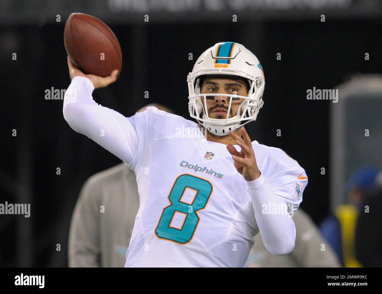 This Dec. 17, 2016 photo shows Miami Dolphins quarterback Matt Moore (8 ...