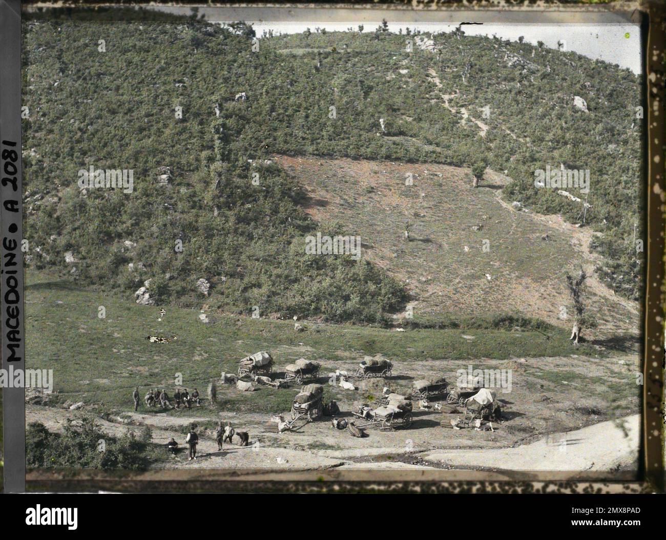Les moignons -Fotos und -Bildmaterial in hoher Auflösung – Alamy