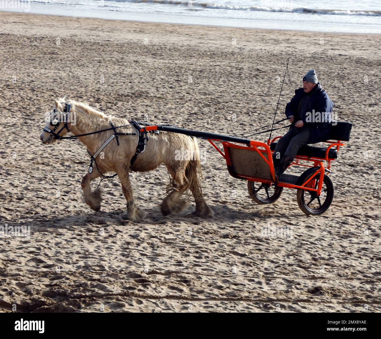 Nach einem Bad im Meer am Strand von Barry Island wurde das nasse ...