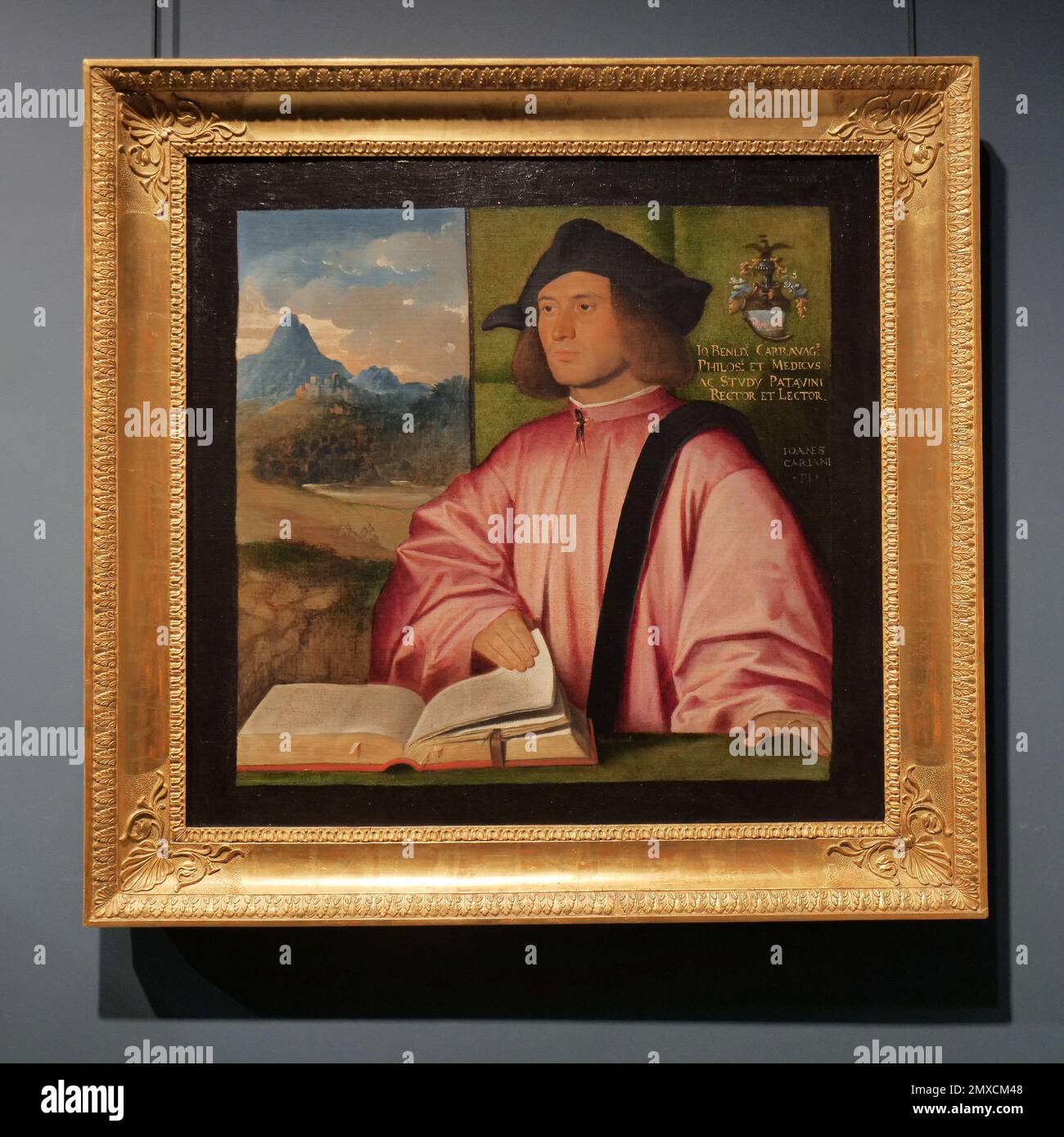 Busi Giovanni calle Cariani Paninting ausgestellt in Accademia Carrara, Bergamo, Italien ...