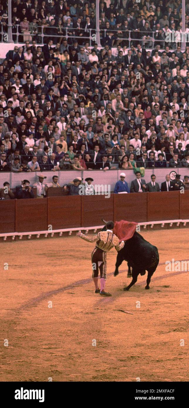 CORRIDA DE TOROS PASE CON MULETA – FOTO AÑOS 60. LAGE: PLAZA DE TOROS ...