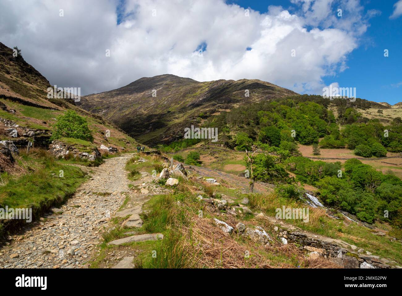Der Watkin Path, eine bekannte Route durch Cwm Llan zum Mount Snowdon ...