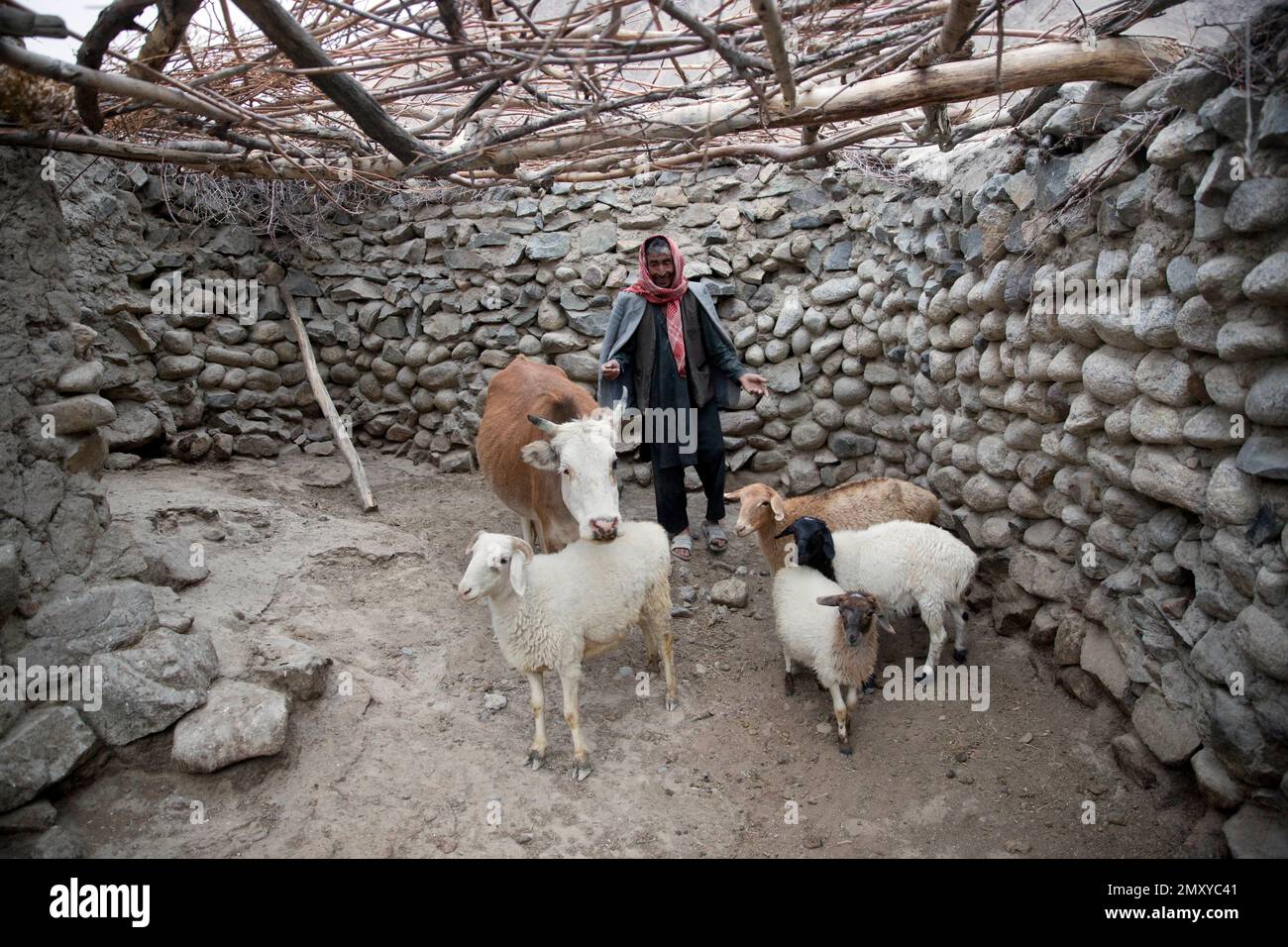 In this Aug. 18, 2016 photo, Afghan farmer Hassan Beg poses at his ...
