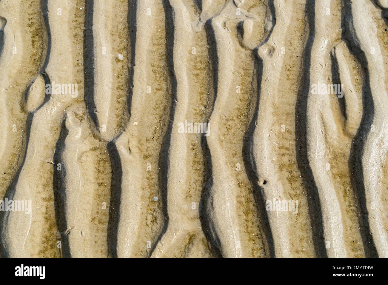 Rillen im sand -Fotos und -Bildmaterial in hoher Auflösung – Alamy