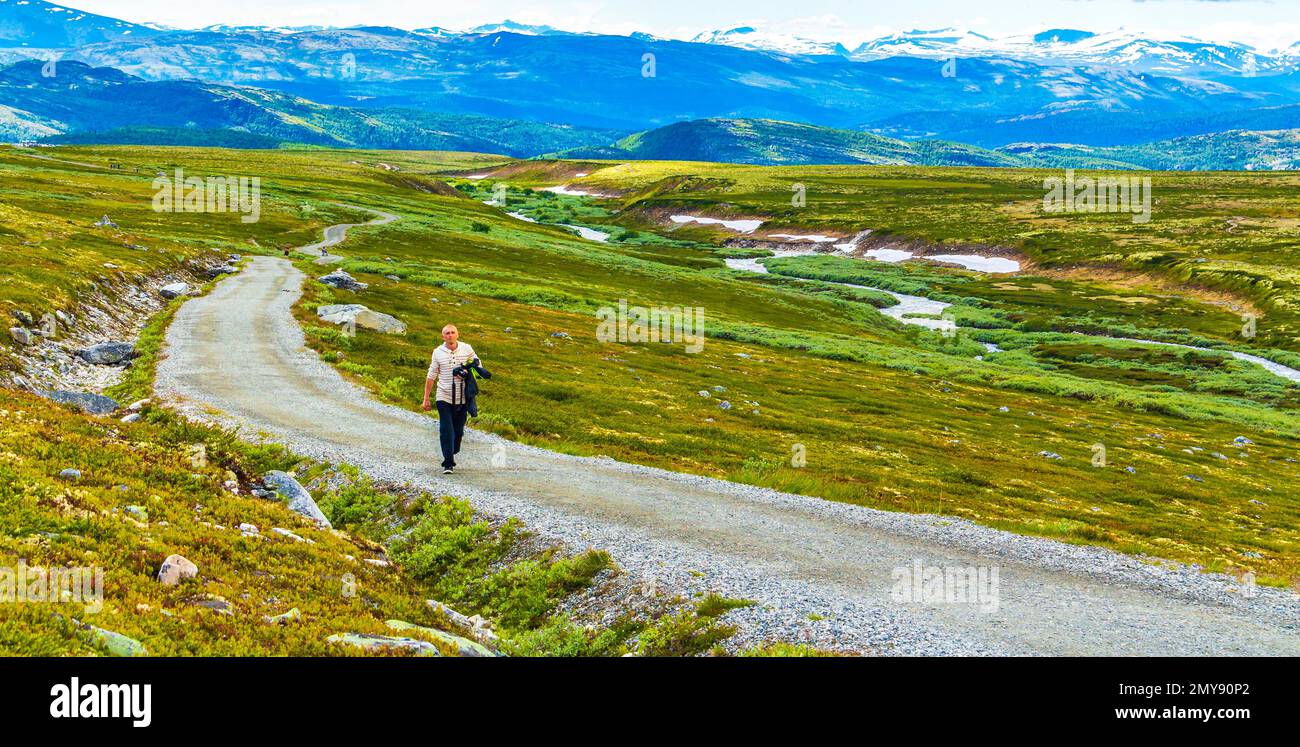 Einsame junge Wanderer wandern auf dem Wanderweg durch die Landschaft zwischen Wäldern und ...