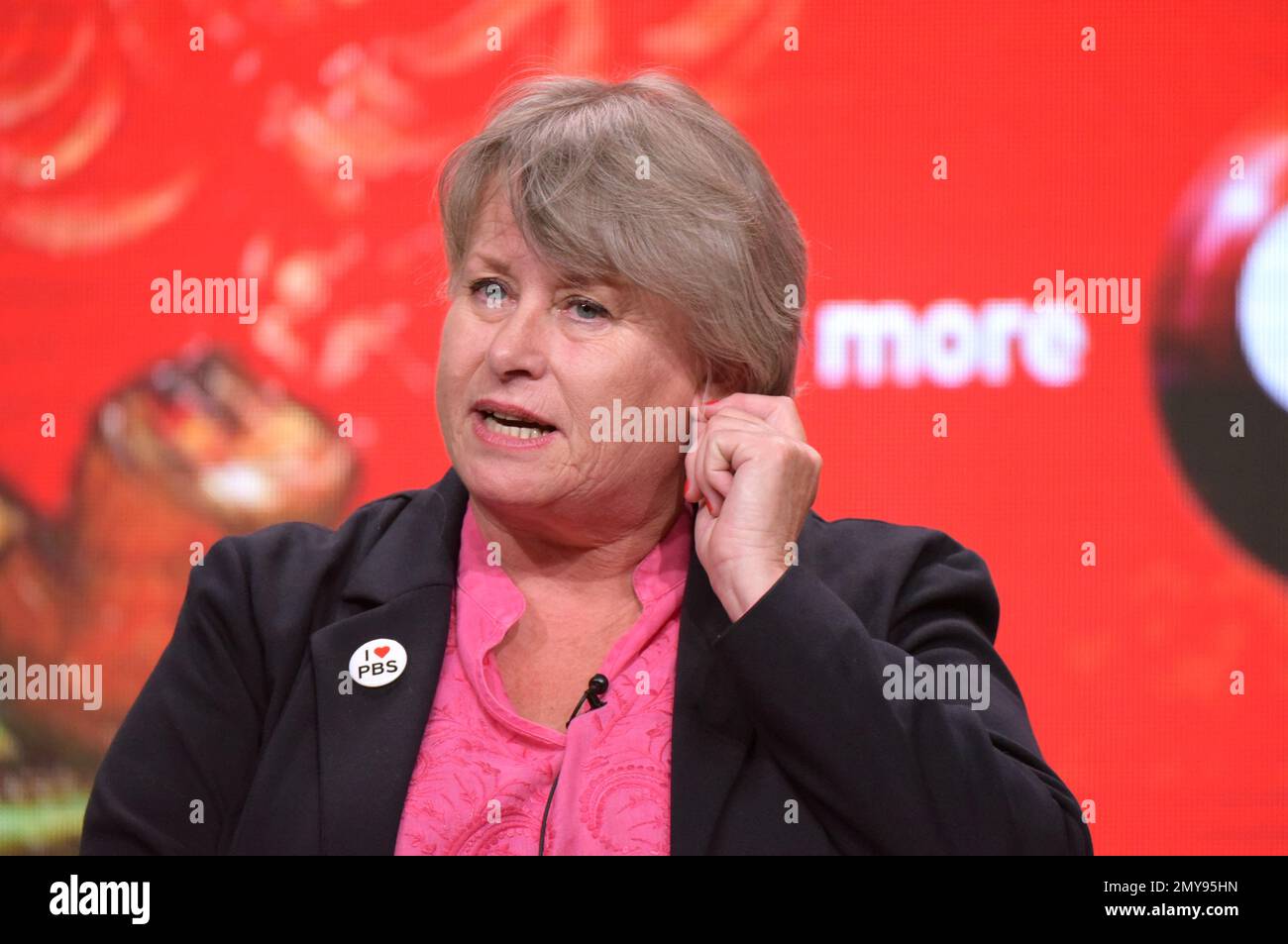 Author Bernadette Murphy participates in "Secrets of The Dead's" "Van ...