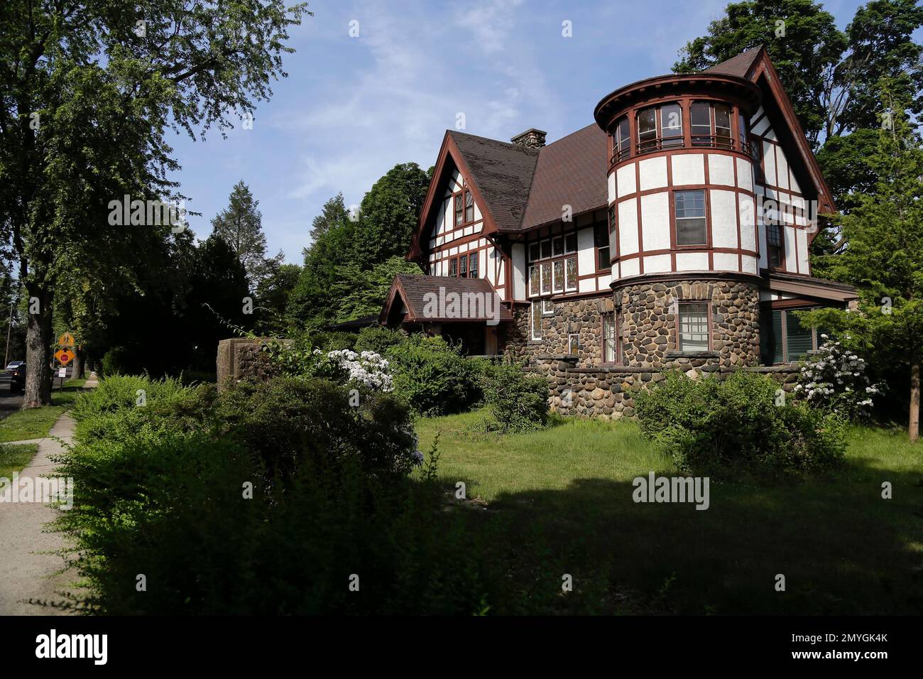 Overgrown grass and thick bushes cover the landscape around a medieval ...