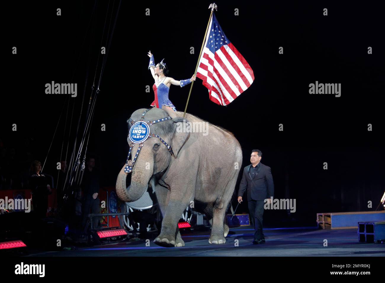 An Asian elephant performs during the national anthem for the final ...