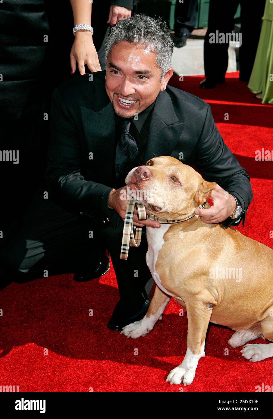 FILE - In an Aug. 19, 2006 file photo, television personality and dog ...