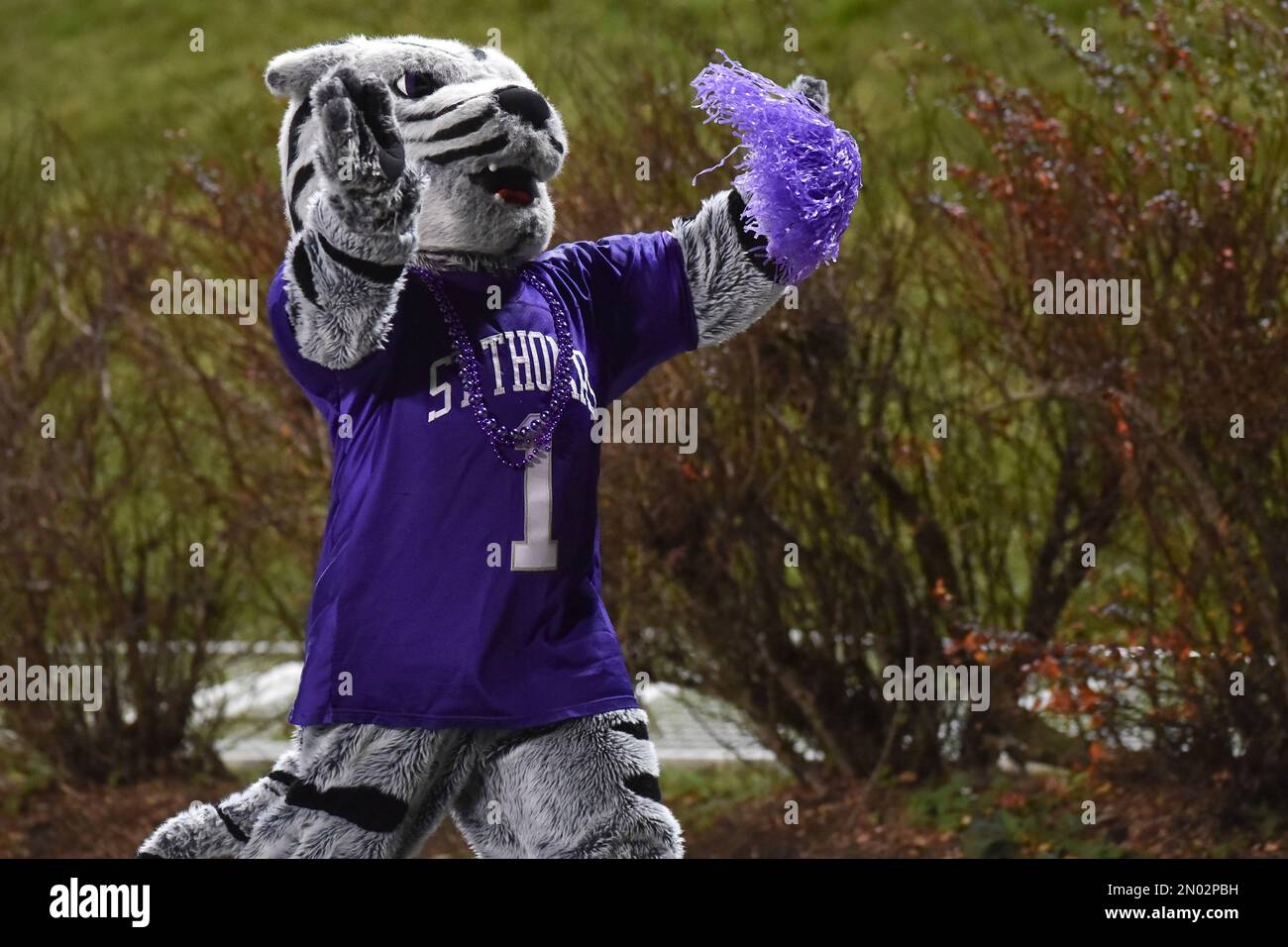 St. Thomas mascot, Tommie, cheers from the sideline against Mount Union ...