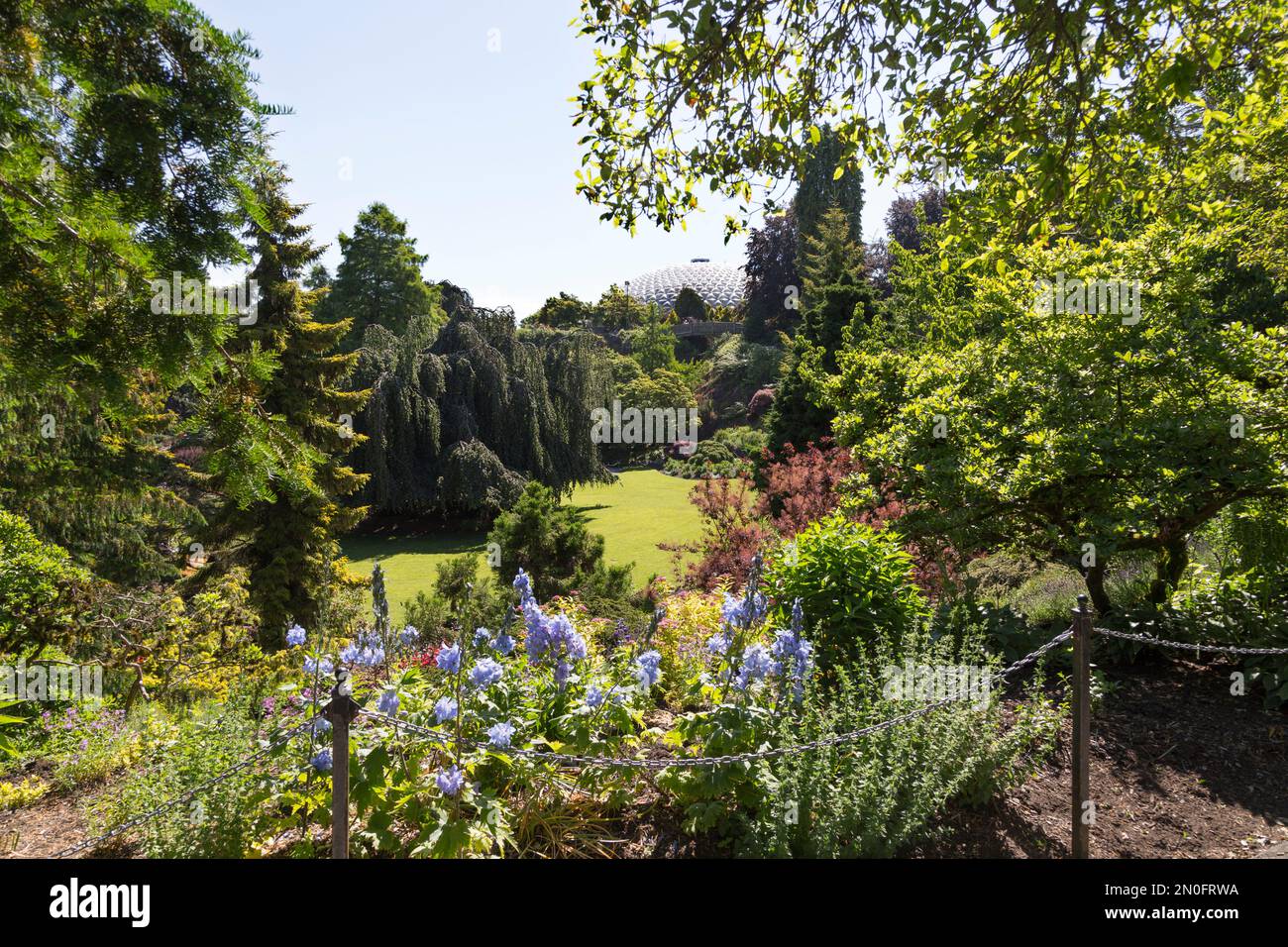 Elizabeth park garden -Fotos und -Bildmaterial in hoher Auflösung – Alamy