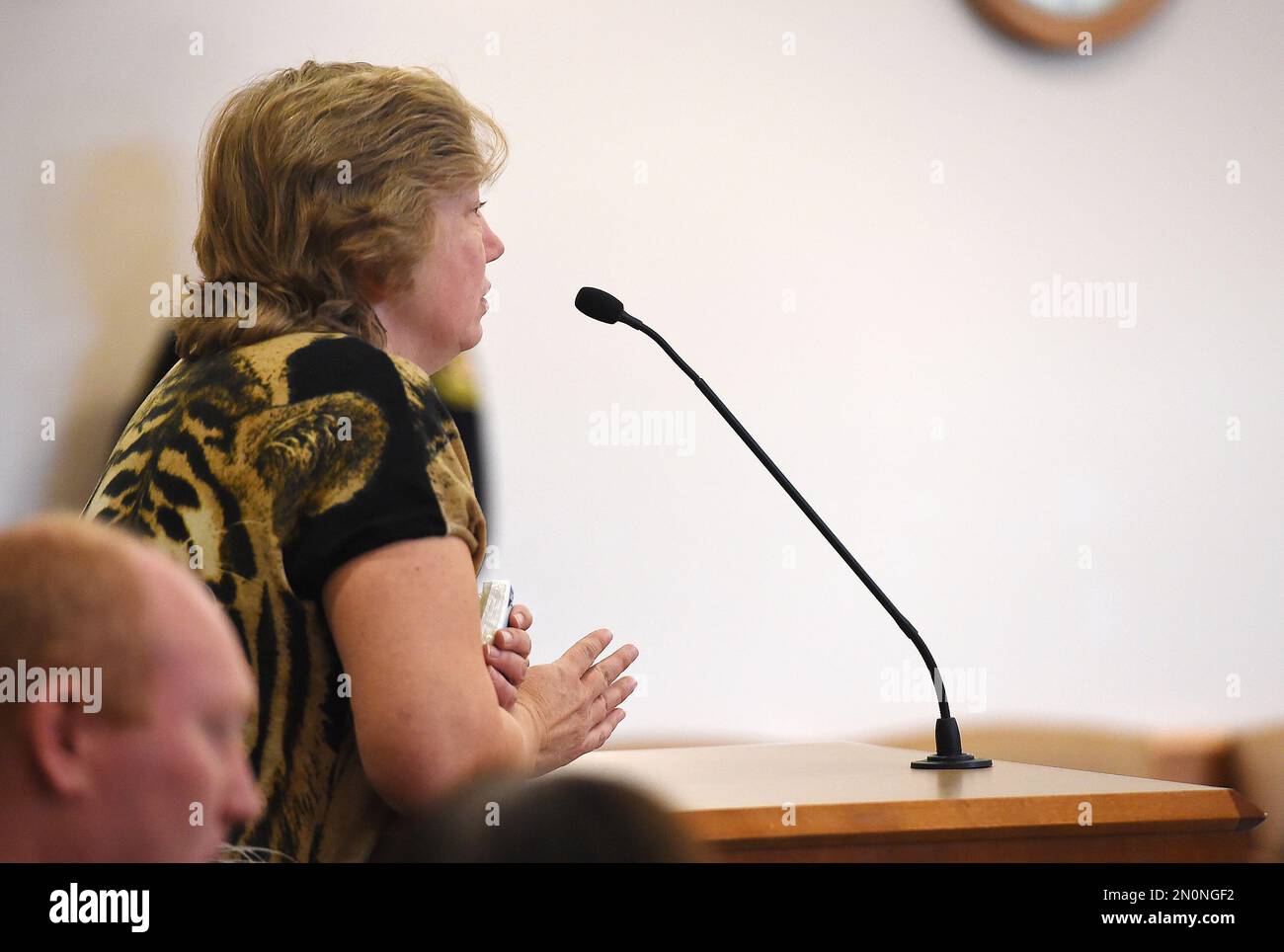 Debra Rupp, sister of Michael Bensen, addresses the court during Bensen ...