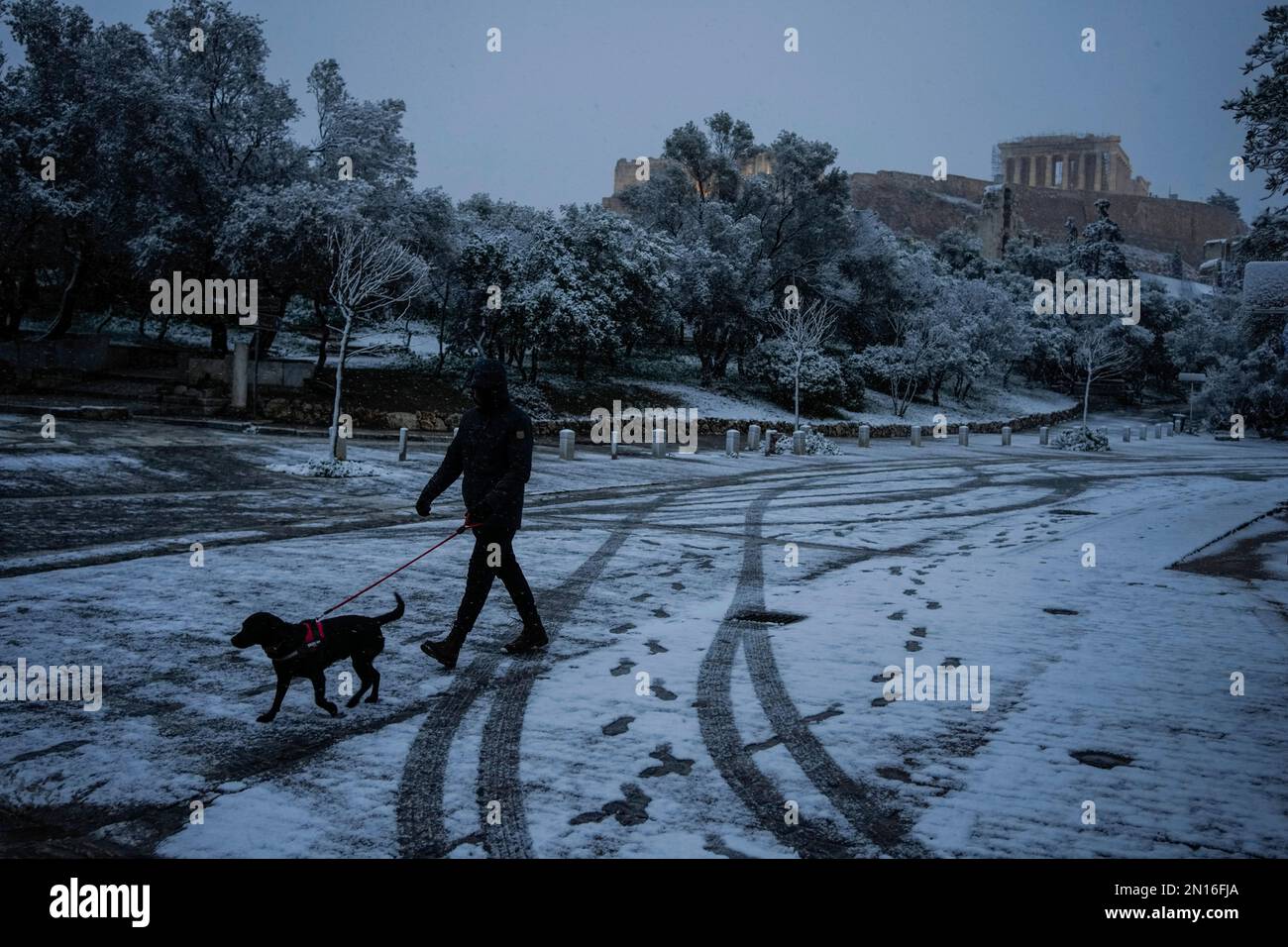 A man walks with his dog in front of the ancient Acropolis hill, with ...