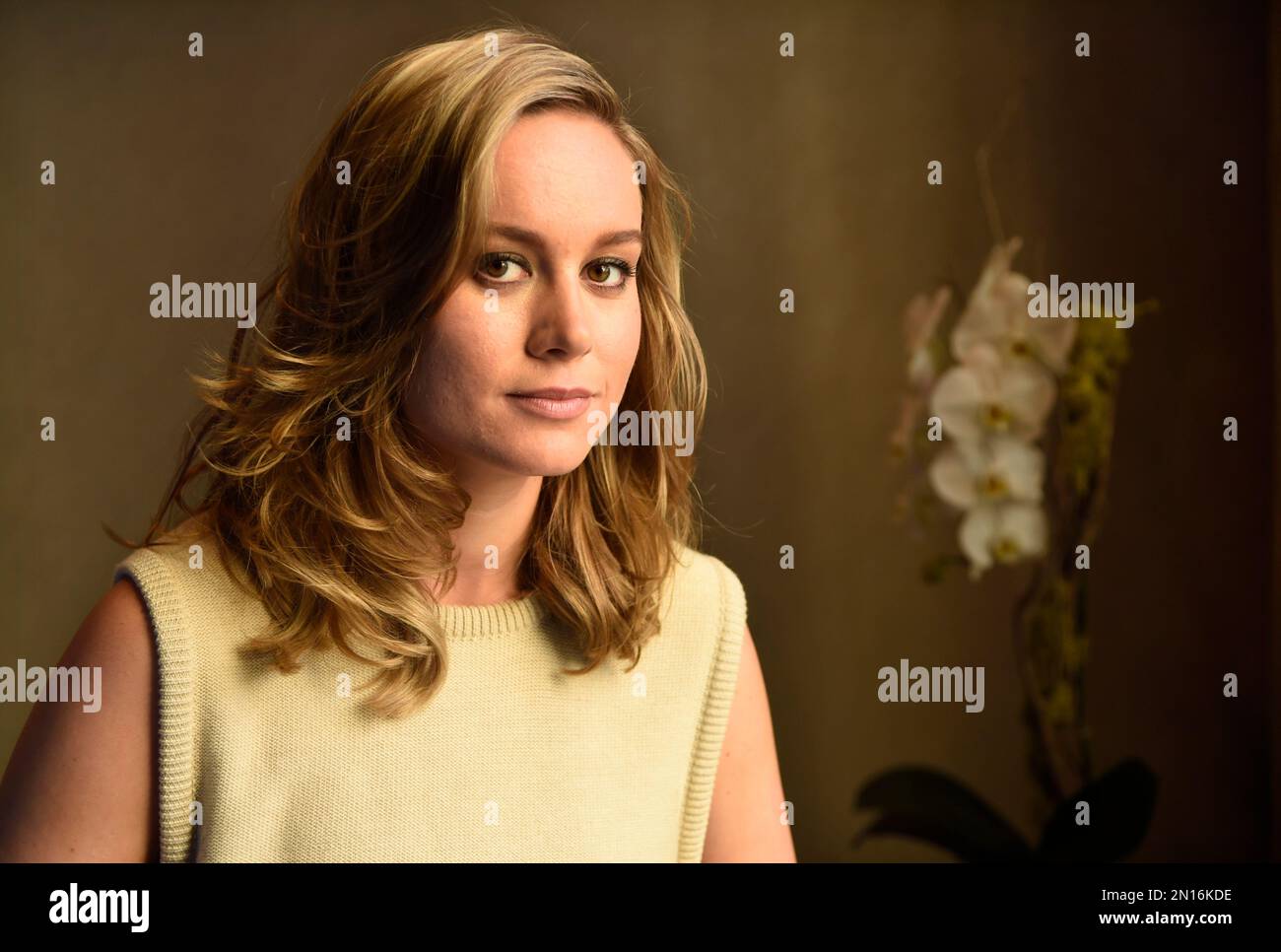 In this Wed., Sept. 30, 2015 photo, actress Brie Larson poses for a ...