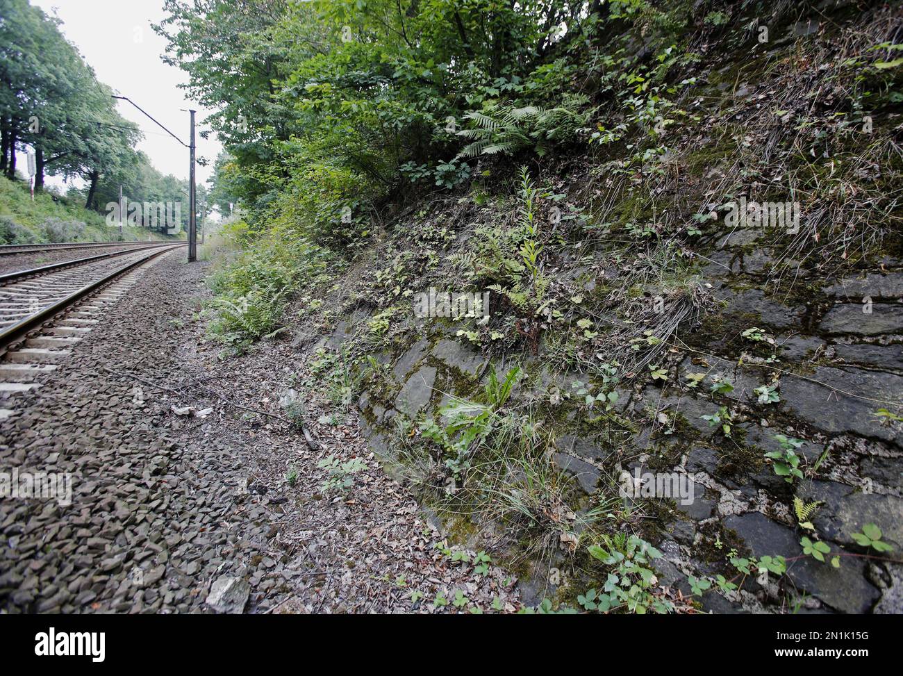 FILE - Aug. 28, 2015 file picture of the potencial site where a Nazi ...