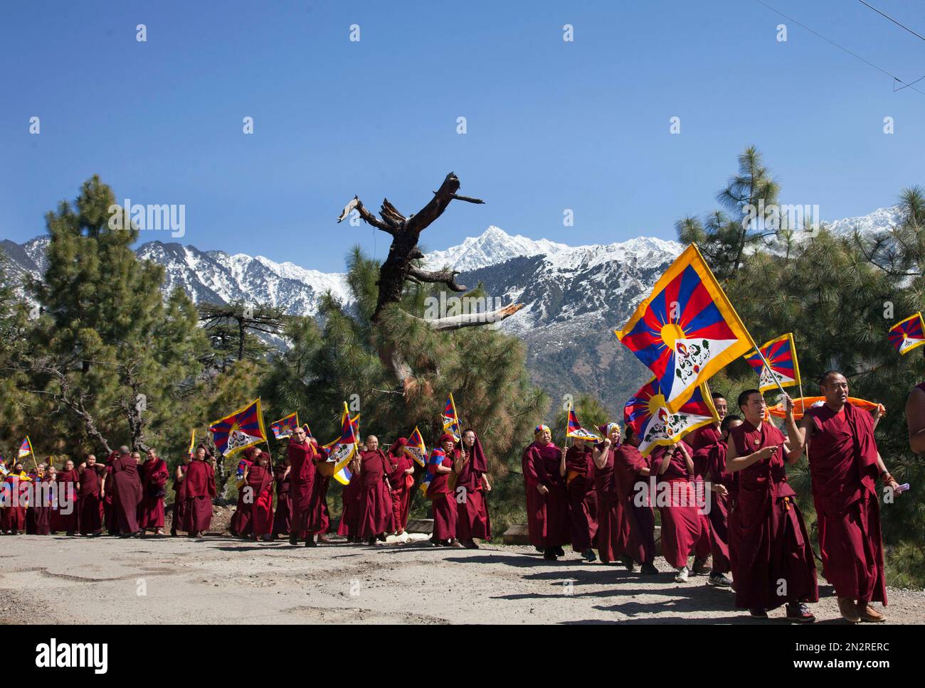 ExileTibetan Buddhist monks and nuns carry Tibetan flags as they march ...