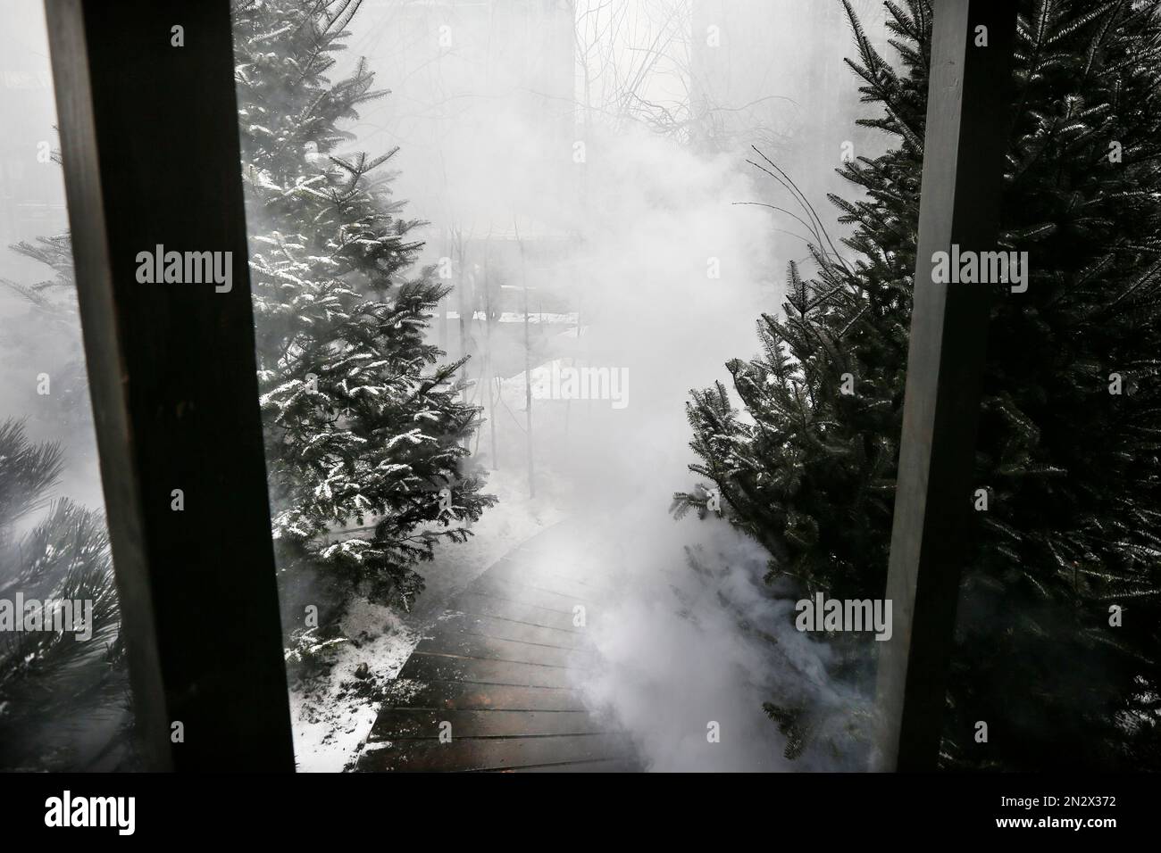 Machine-generated fog that's part of "A Winter Landscape Cradling Bits ...