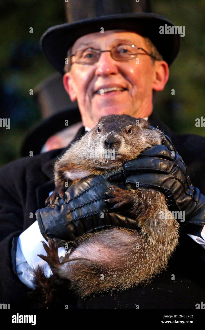 Groundhog Club handler Ron Ploucha holds Punxsutawney Phil, the weather ...