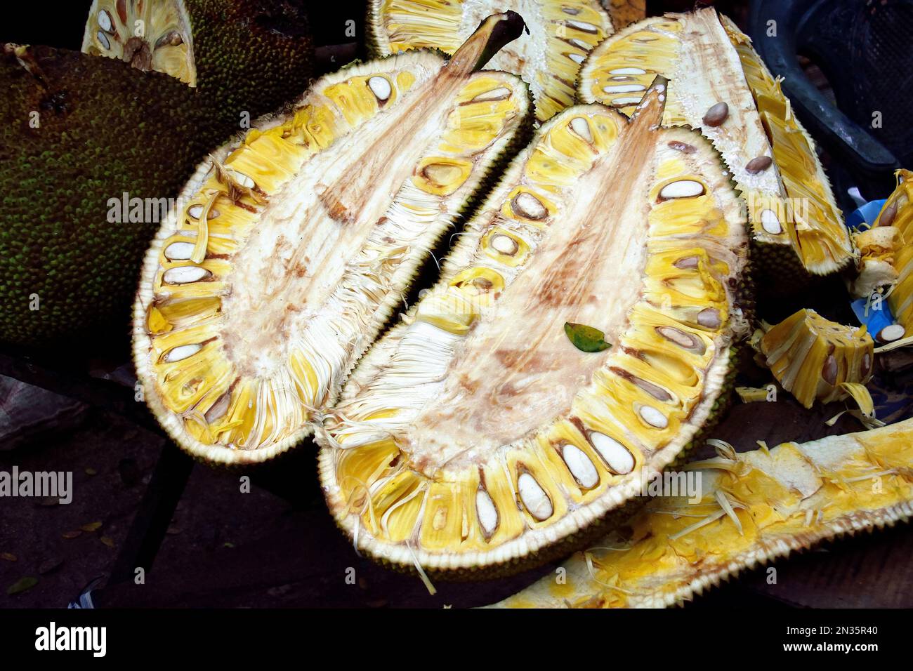 Wilde jackfrucht -Fotos und -Bildmaterial in hoher Auflösung – Alamy