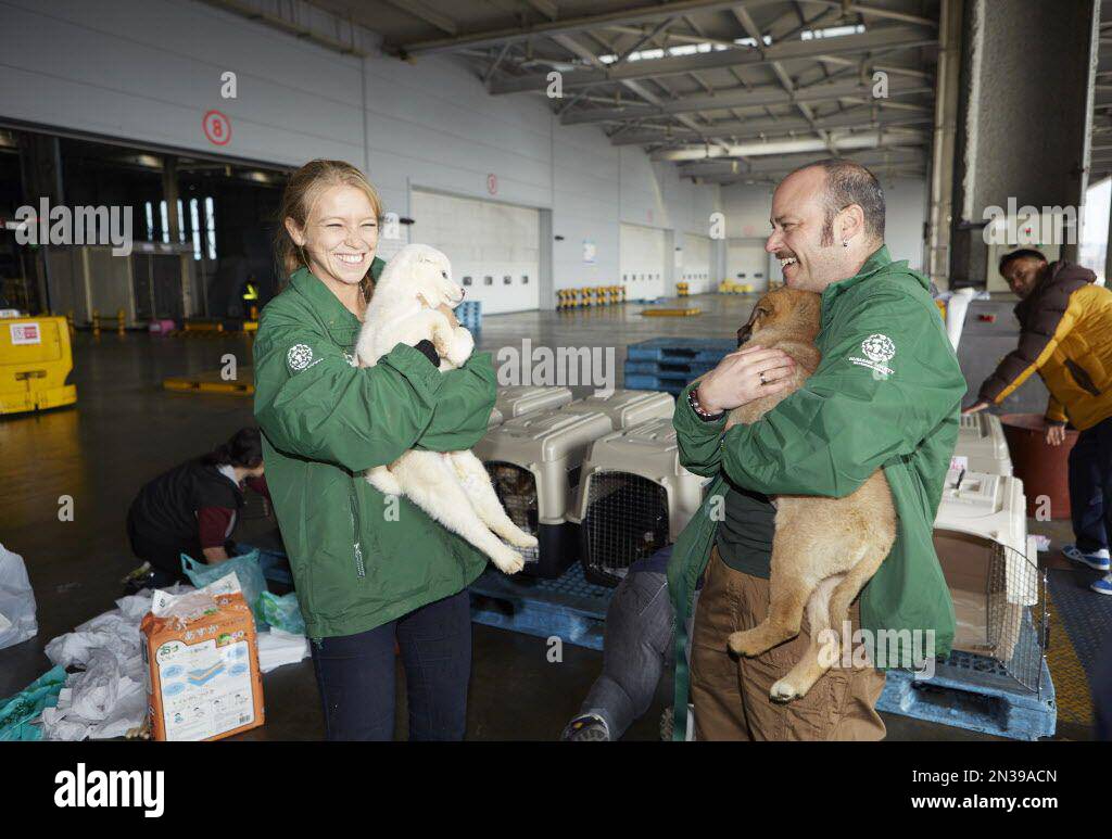 IMAGE DISTRIBUTED FOR HUMANE SOCIETY INTERNATIONAL - In this image ...