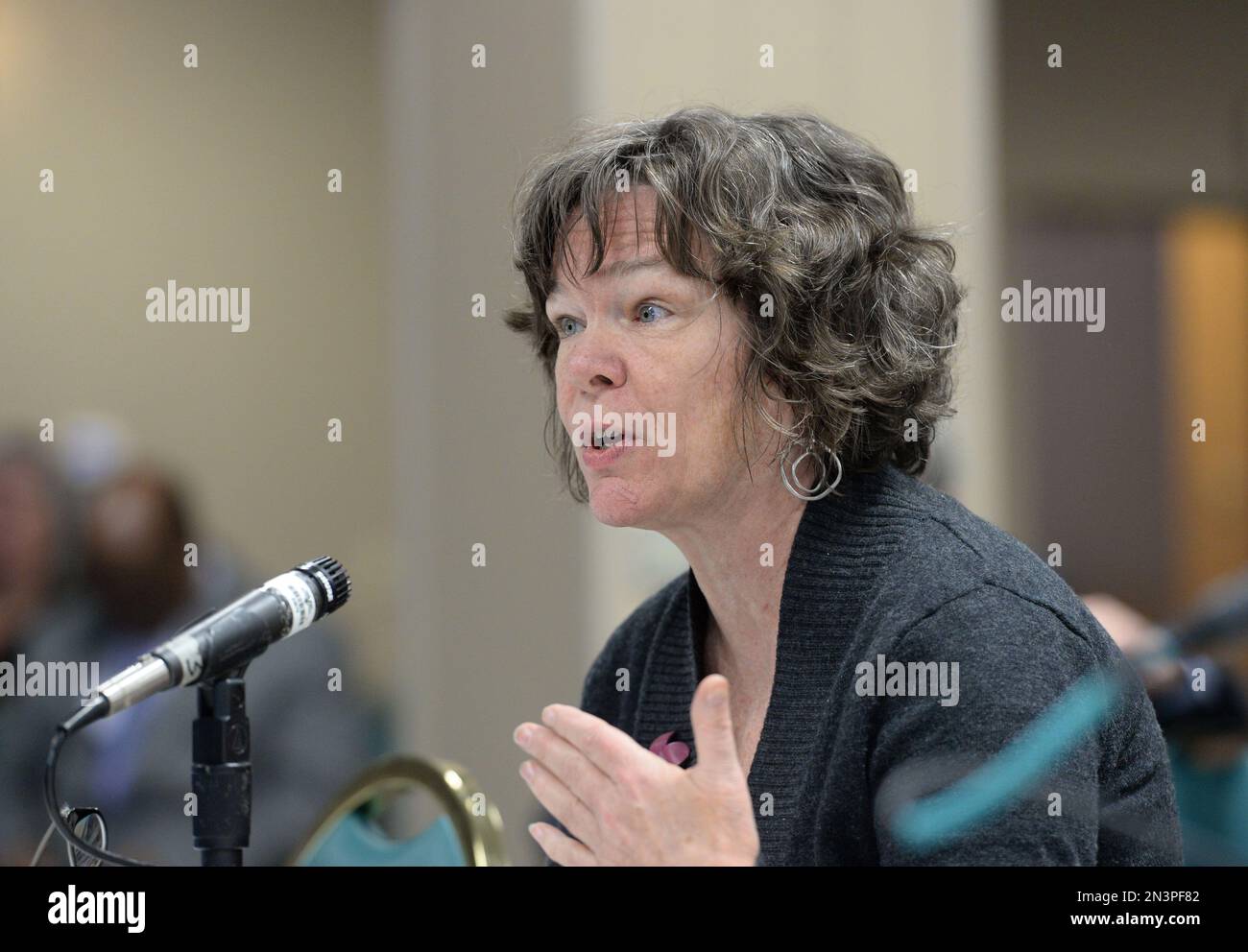 IMAGE DISTRIBUTED FOR CECANF - Cindy Walcott, Deputy Commissioner ...
