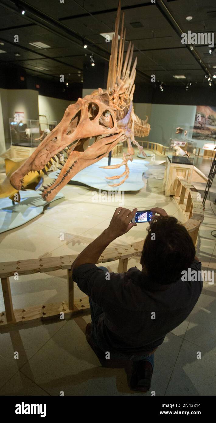 University of Chicago Paleontologists Paul C. Sereno uses his ...