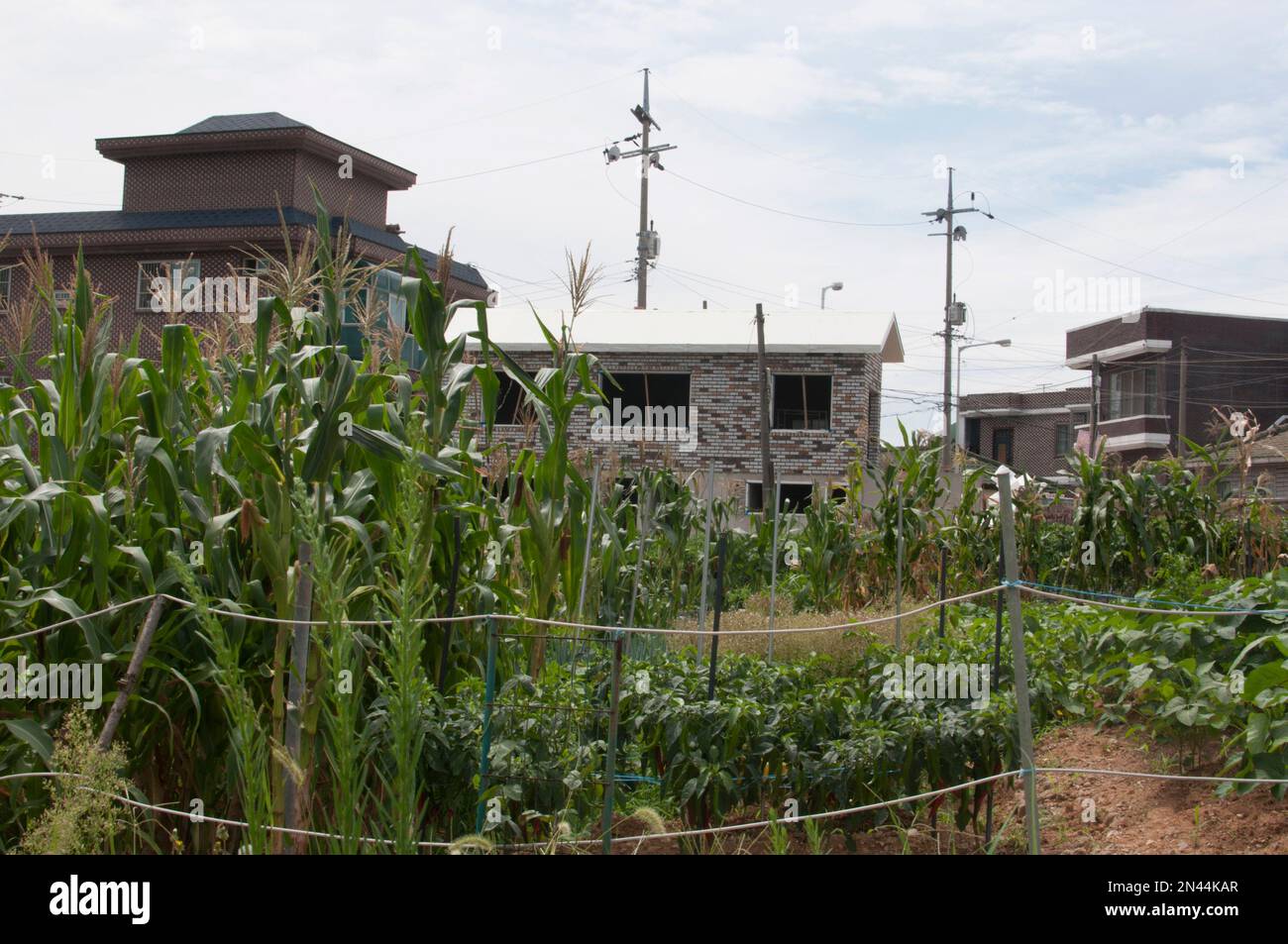 This July 31, 2014 photo, shows an area of Anjeong-ri, a military ...