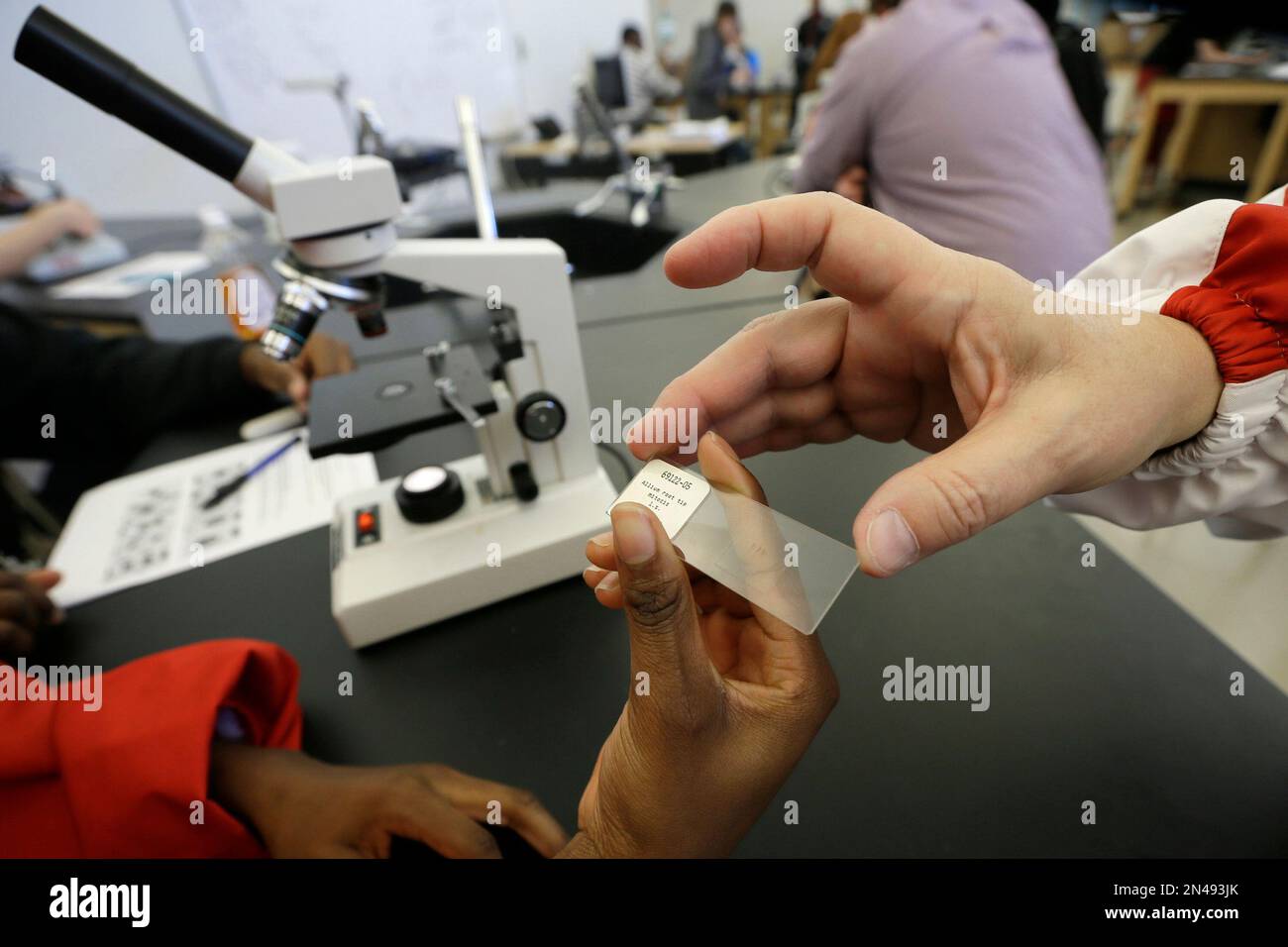 In this photo taken Jan. 14, 2014, students pass a microscope slide ...