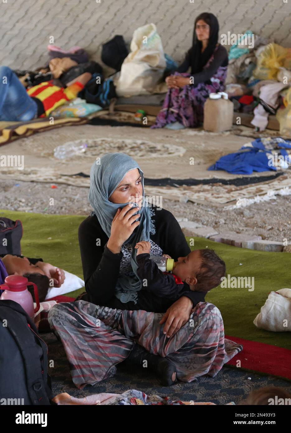 Displaced Iraqis from the Yazidi community settle under a bridge in ...