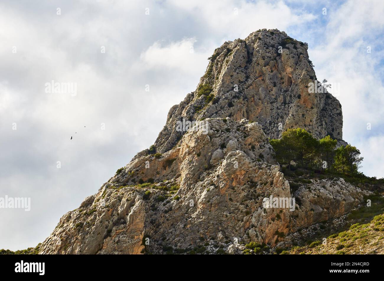 Portet de castells -Fotos und -Bildmaterial in hoher Auflösung – Alamy