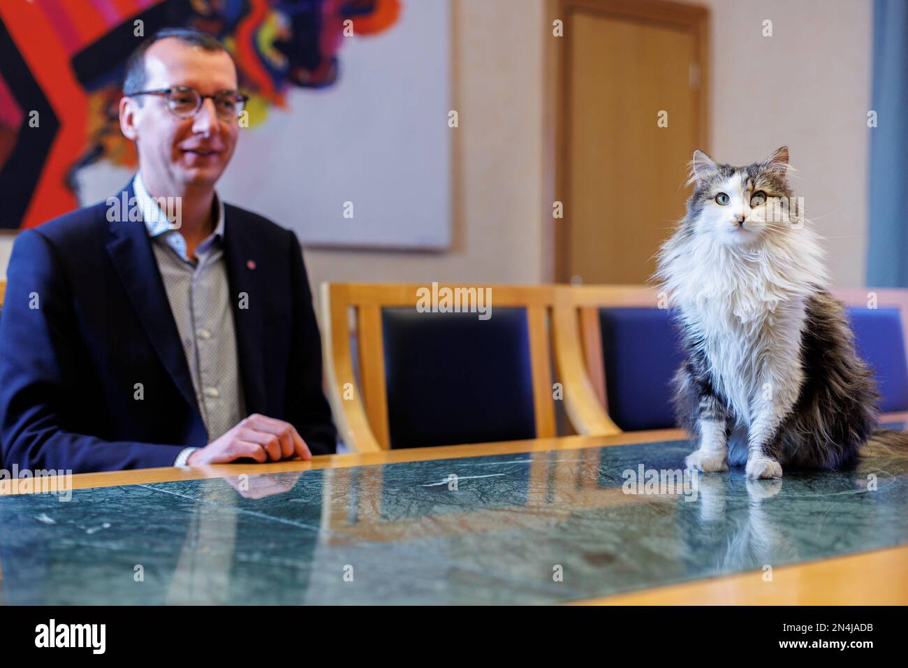 Adoptivkatze Misko, die vom derzeitigen Bürgermeister von Rijeka Marko ...