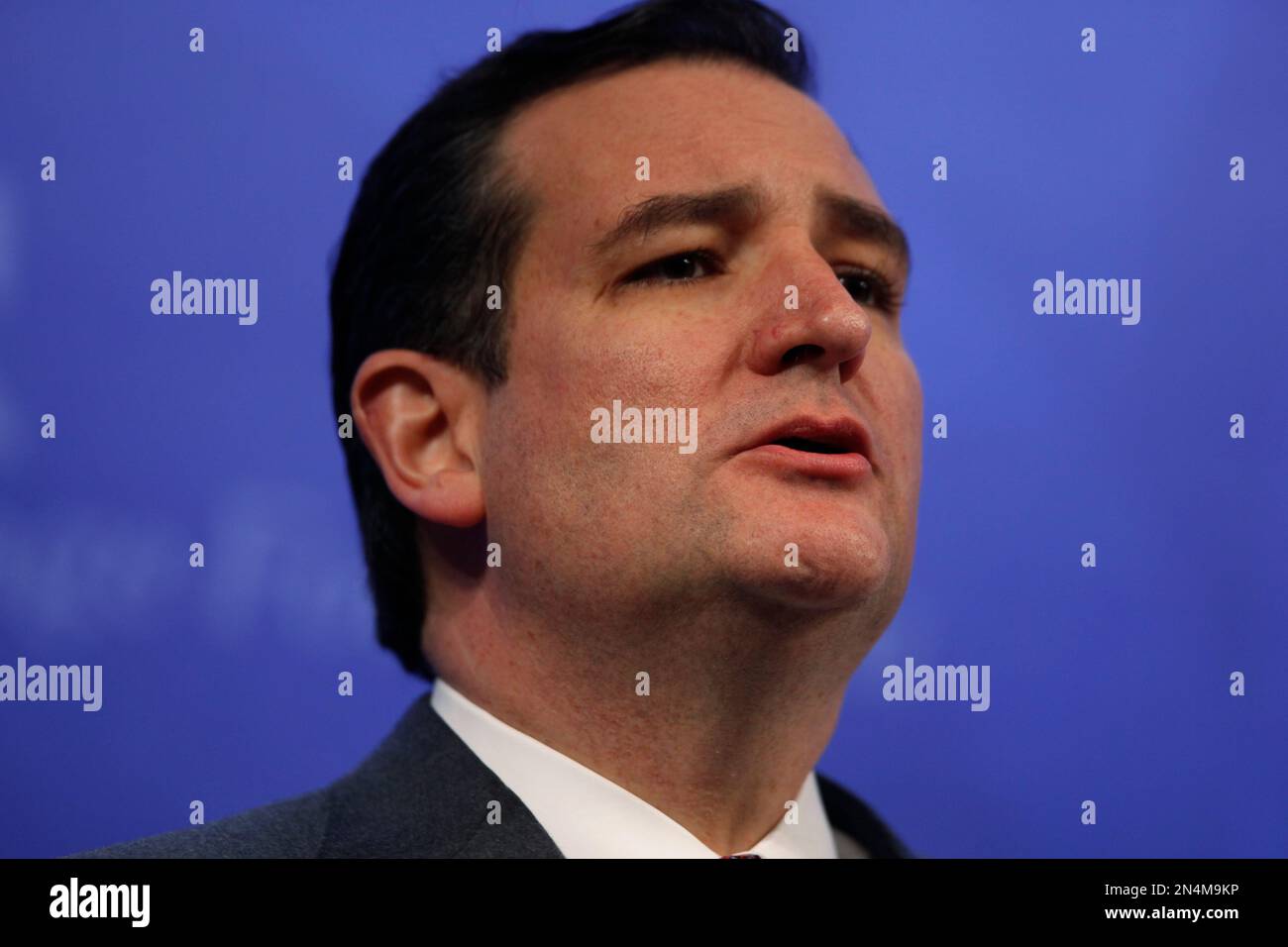FILE - In this file photo taken Feb. 10, 2014, U.S. Sen. Ted Cruz, R ...