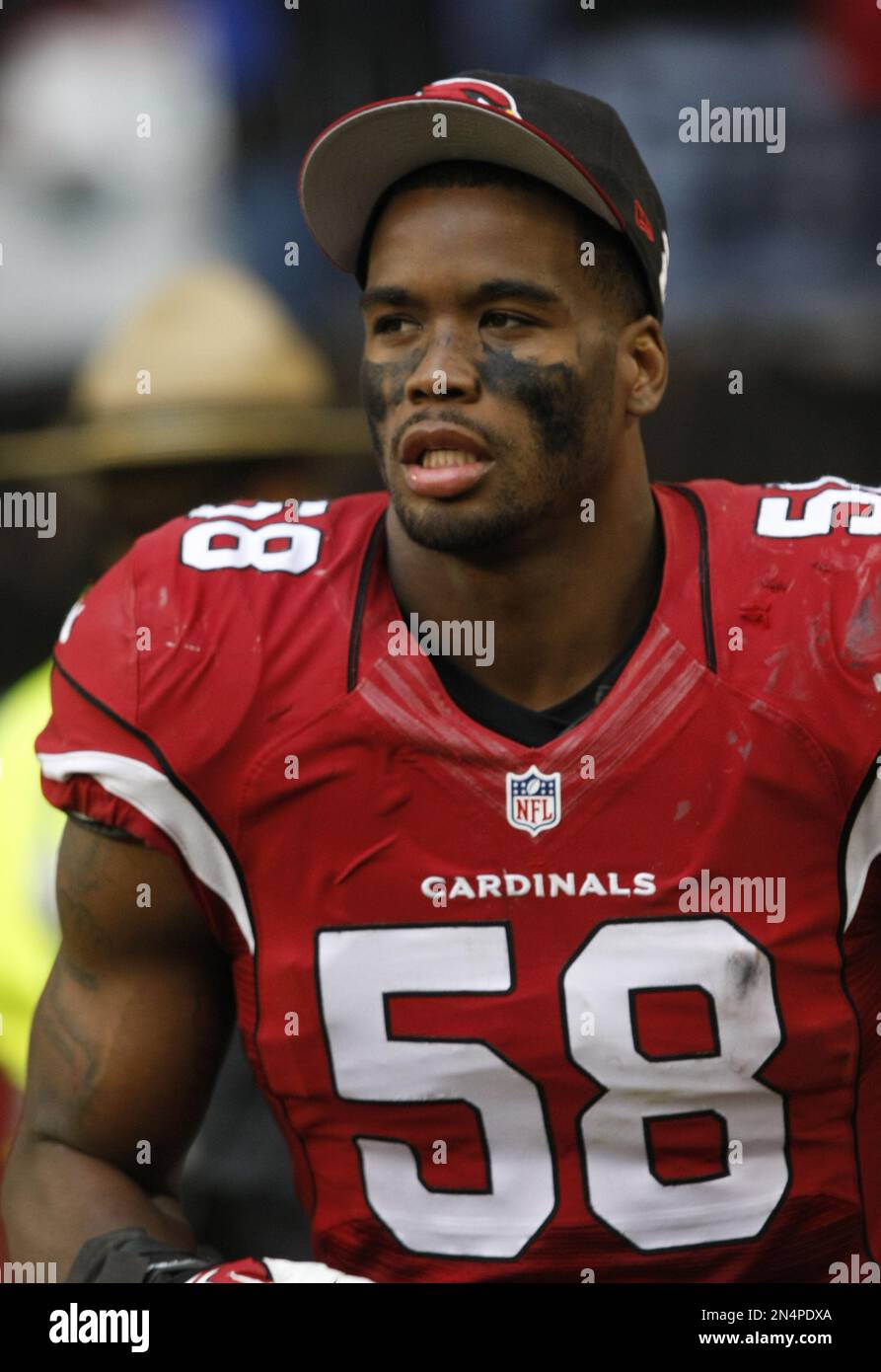 FILe - This is a Dec. 8, 2013 file photo showing Arizona Cardinals ...