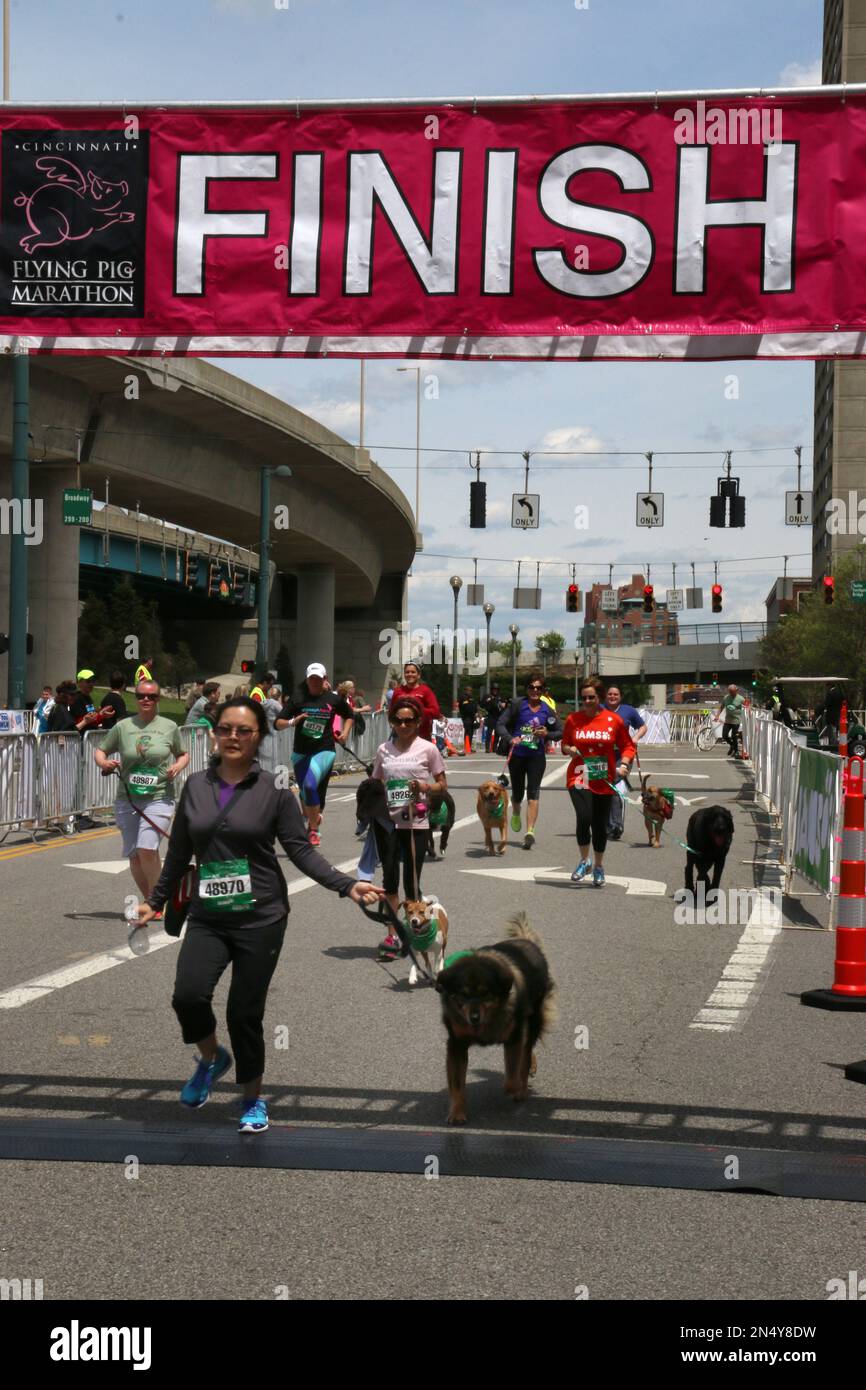 People and their dogs run during the IAMS Flying Fur dog run in ...