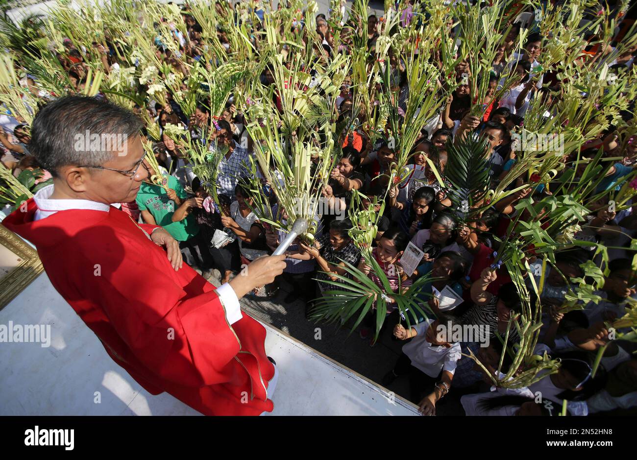 Filipino priest Fr. Romerico Prieto sprinkles holy water on palm fronds ...