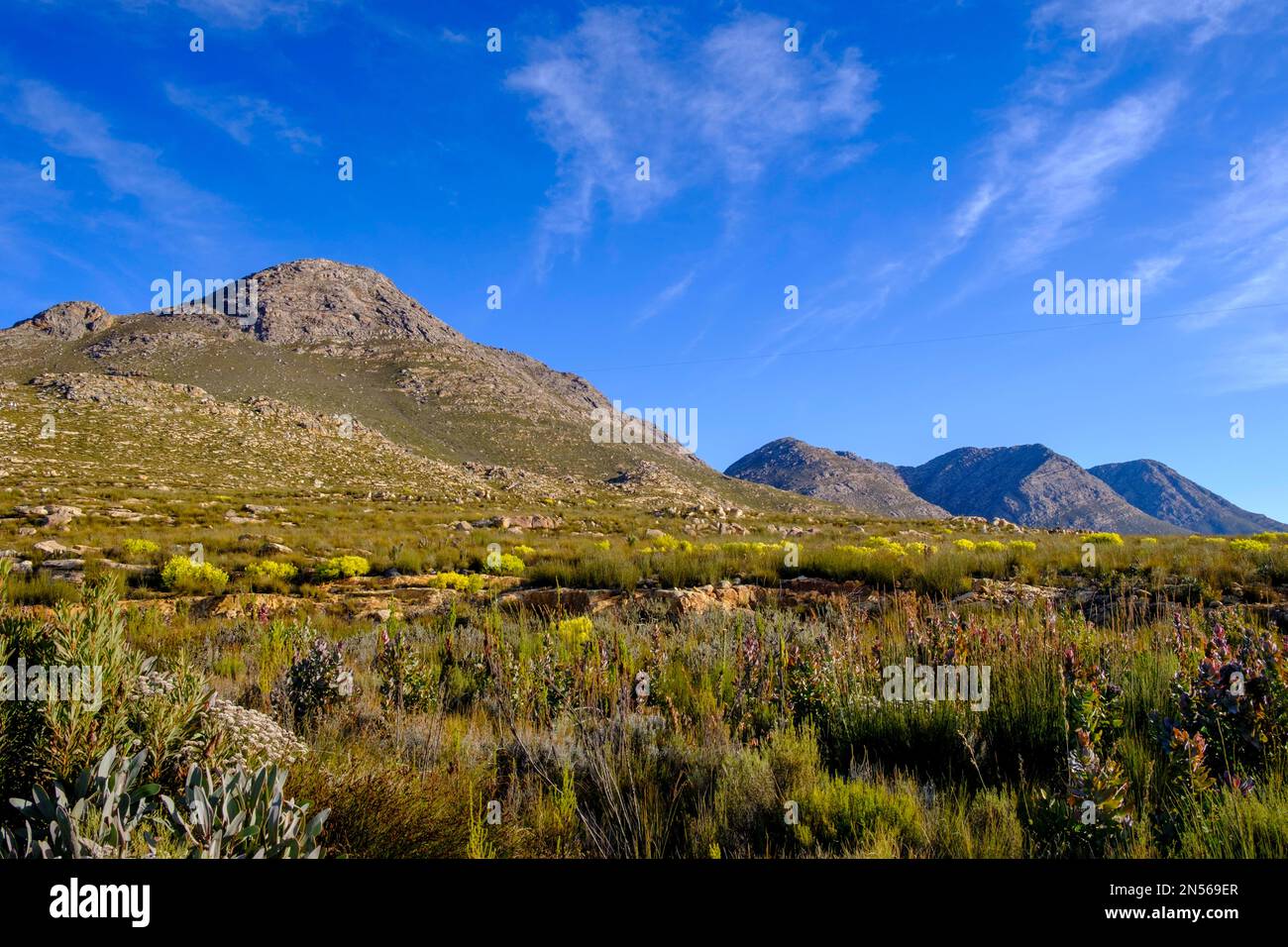Swartberg Pass, Swartberg Pass, Swartberg Mountains, zwischen ...