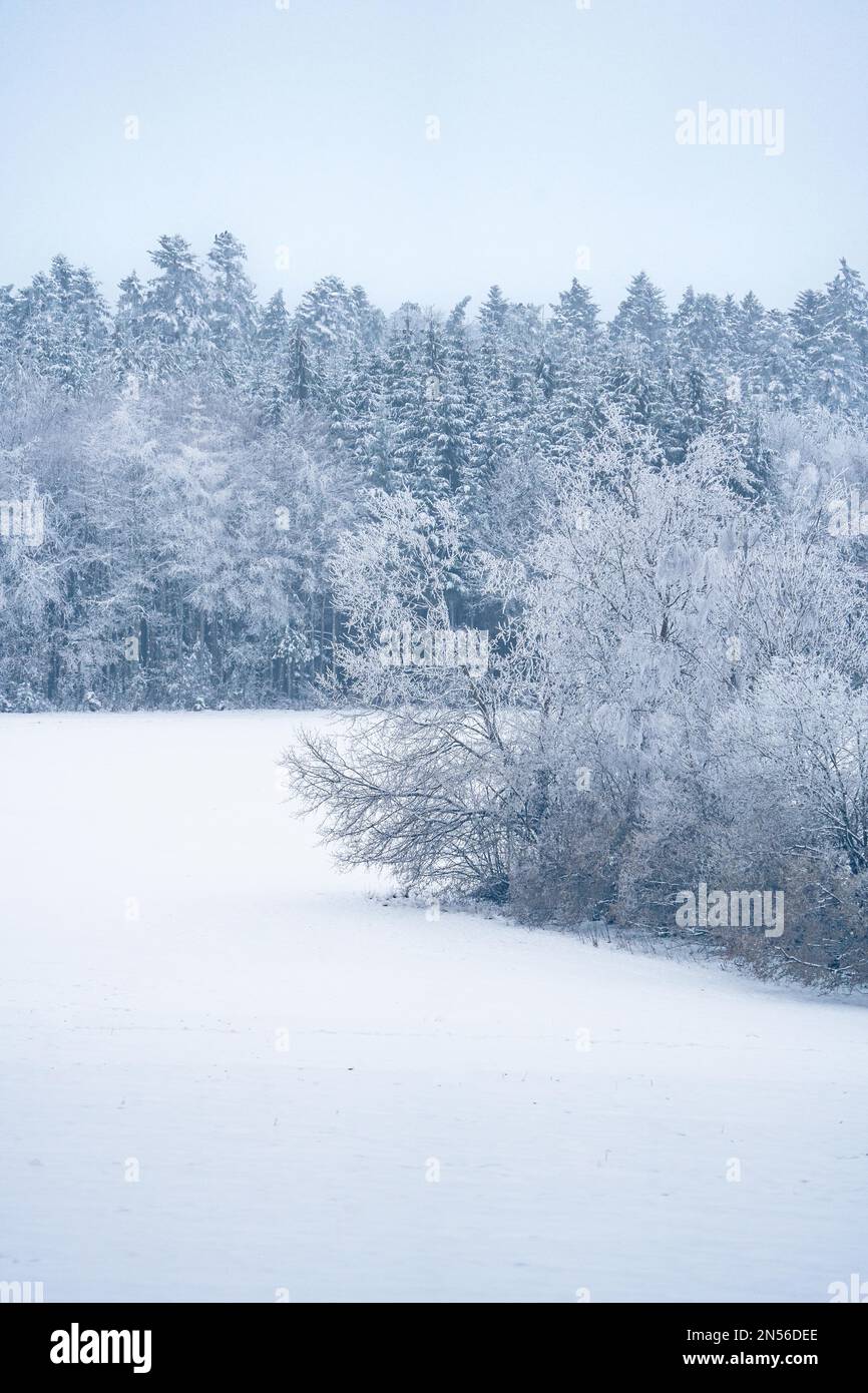 Wald im schnee -Fotos und -Bildmaterial in hoher Auflösung – Alamy