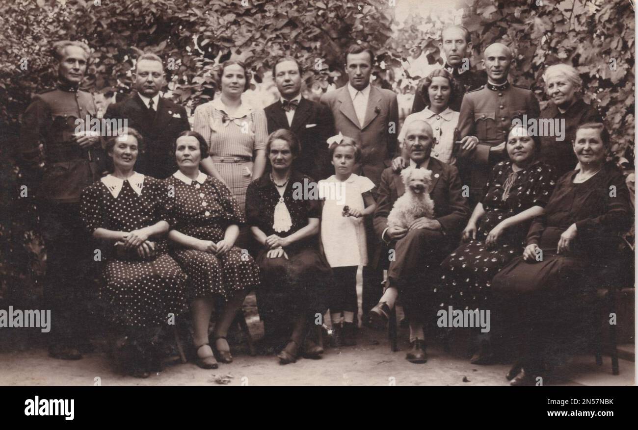 Membro della famiglia di cani -Fotos und -Bildmaterial in hoher Auflösung – Alamy