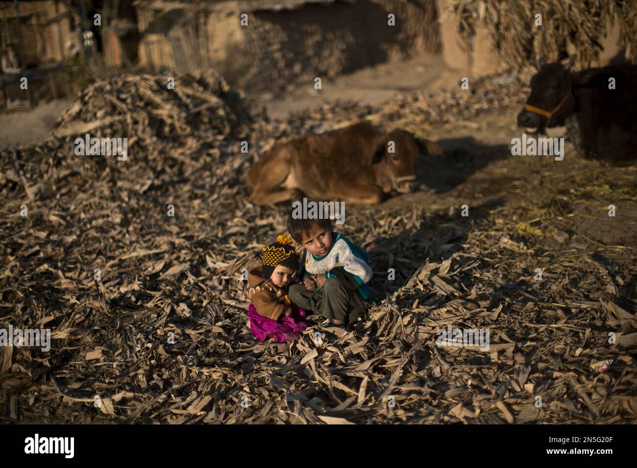 A Pakistani child and his sister, whose family was displaced from ...