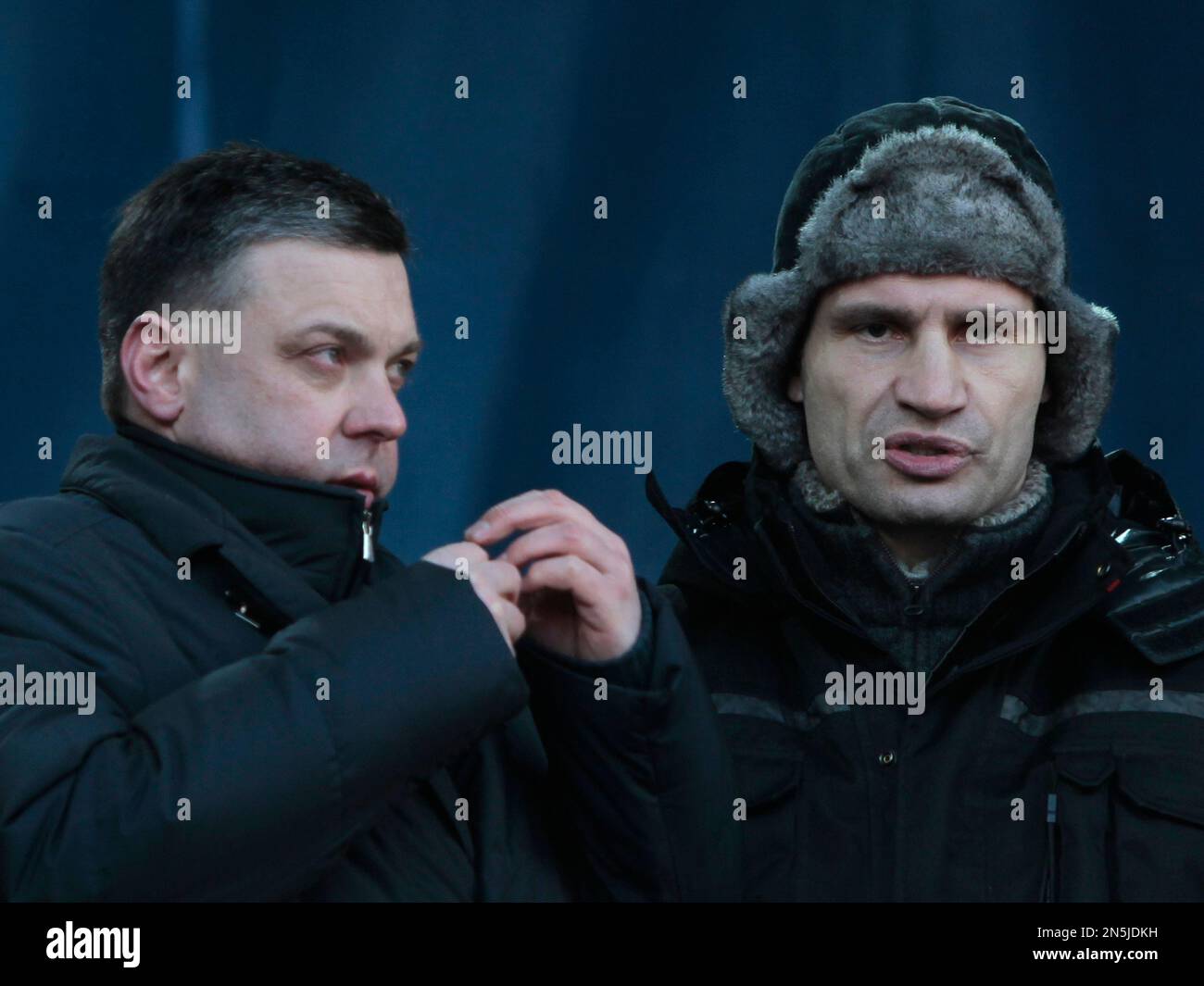 Ukrainian lawmaker and chairman of the Ukrainian opposition party Udar ...