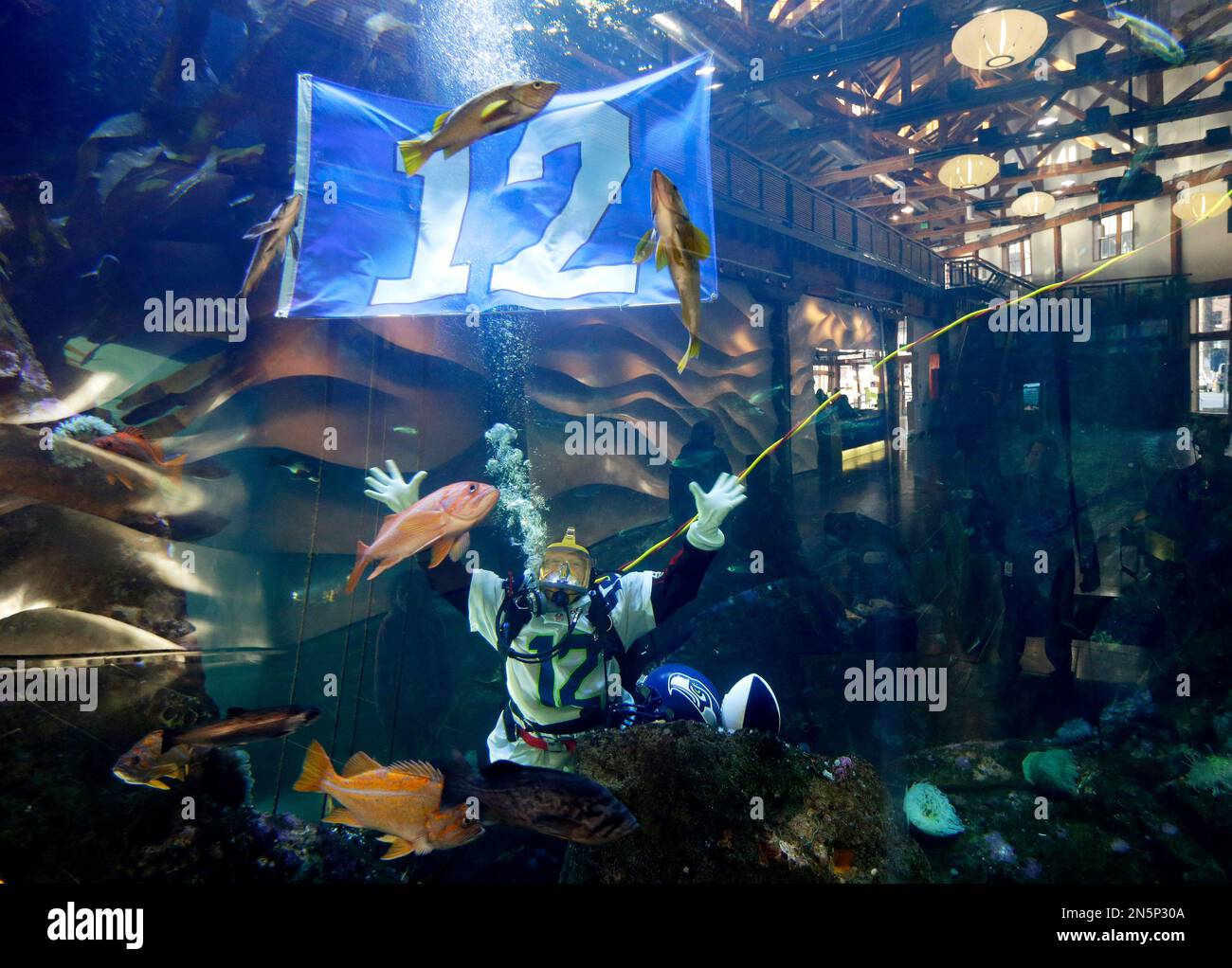 Nicole Killebrew, a diver at the Seattle Aquarium, wears a Seattle ...