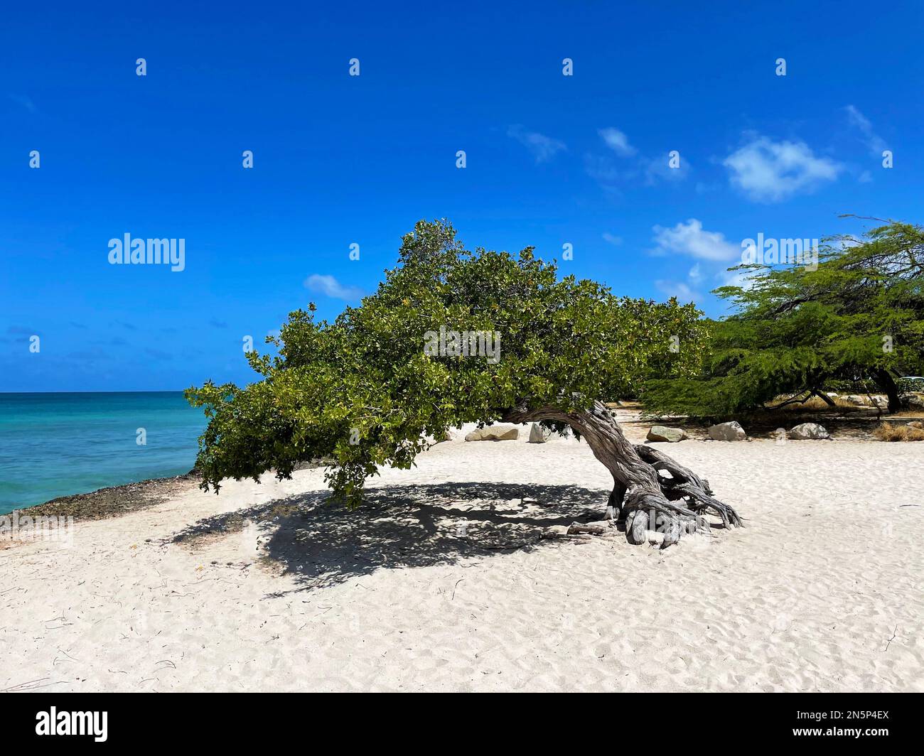 Divi strand -Fotos und -Bildmaterial in hoher Auflösung – Alamy