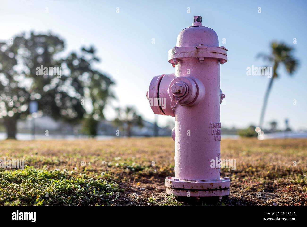 Hydrant tropical -Fotos und -Bildmaterial in hoher Auflösung – Alamy