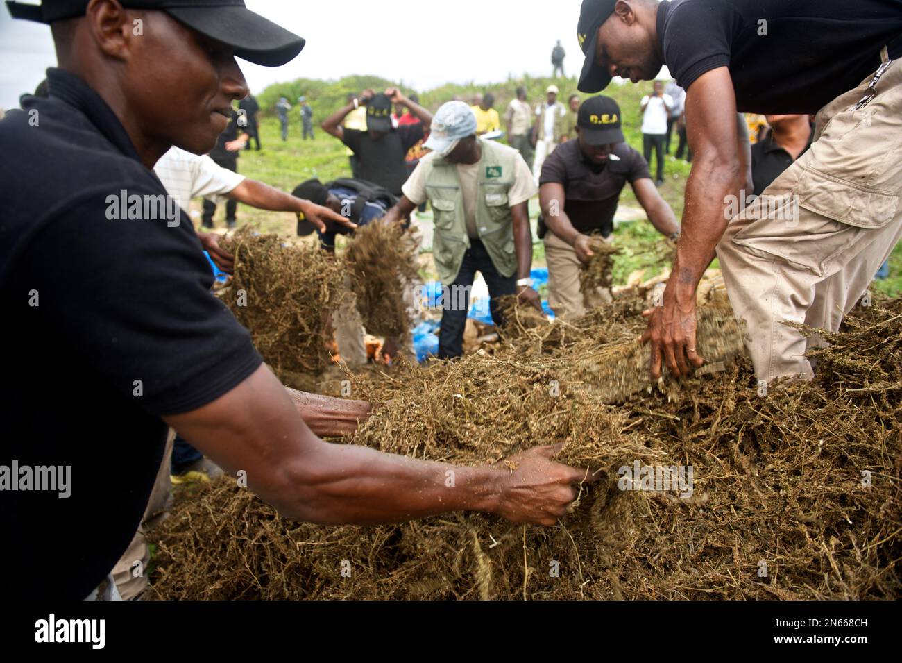 Officials from the Liberia Drug Enforcement Agency prepare to burn a ...